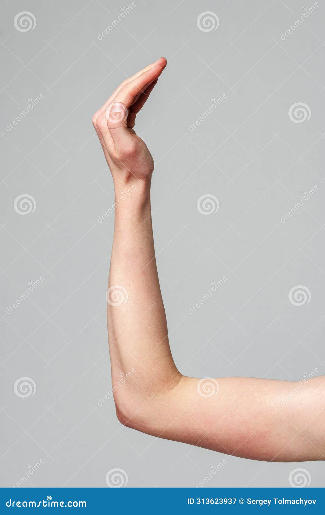 Human Hand Raised Against a Neutral Gray Background in a Studio Setting ...