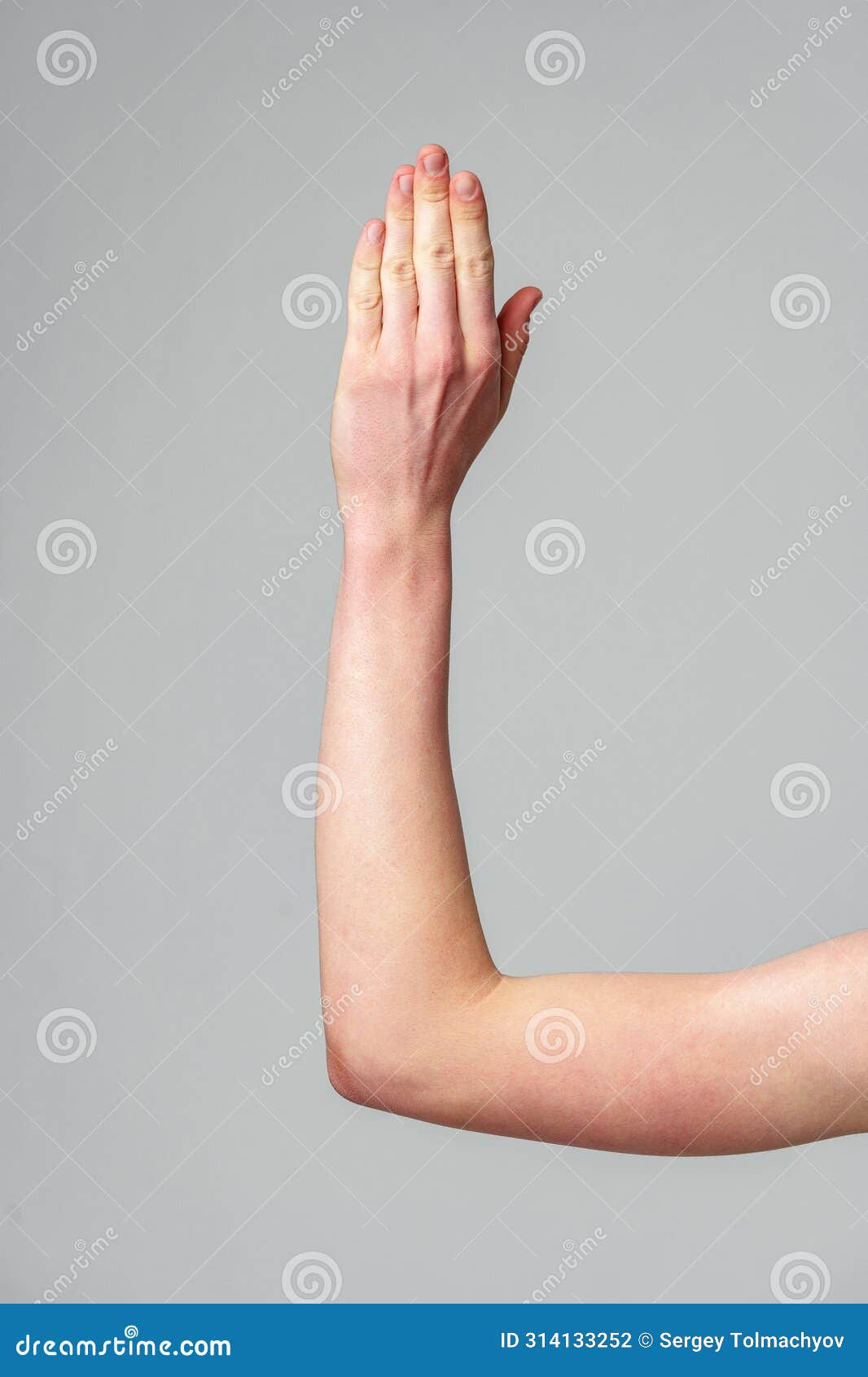 Human Hand Raised Against a Neutral Gray Background in a Studio Setting ...