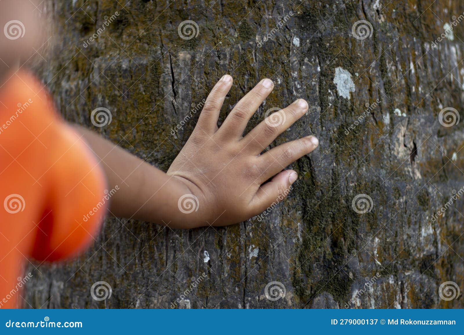 A Human Hand Rests Against a Tree Stock Image - Image of blur, outdoor ...