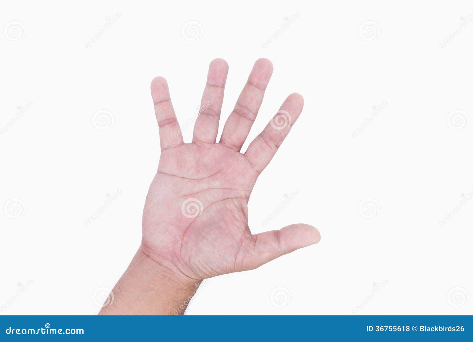 Human Hand Show Five Fingers Stock Photo - Image of open, isolated ...