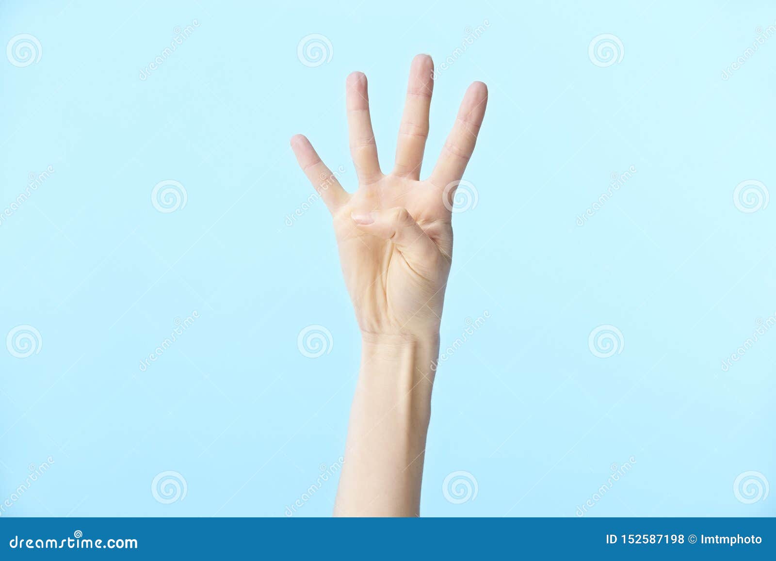 Human Hand Showing Number Four Stock Photo - Image of woman, fingers ...