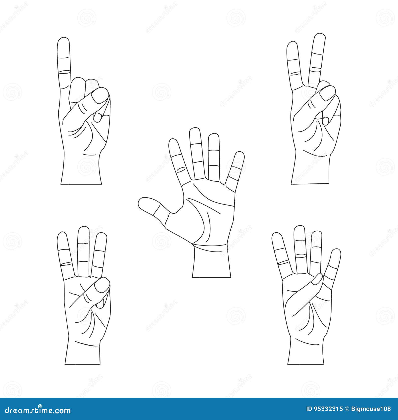 Human Hand Showing Numbers Thin Line Set . Vector Stock Vector ...