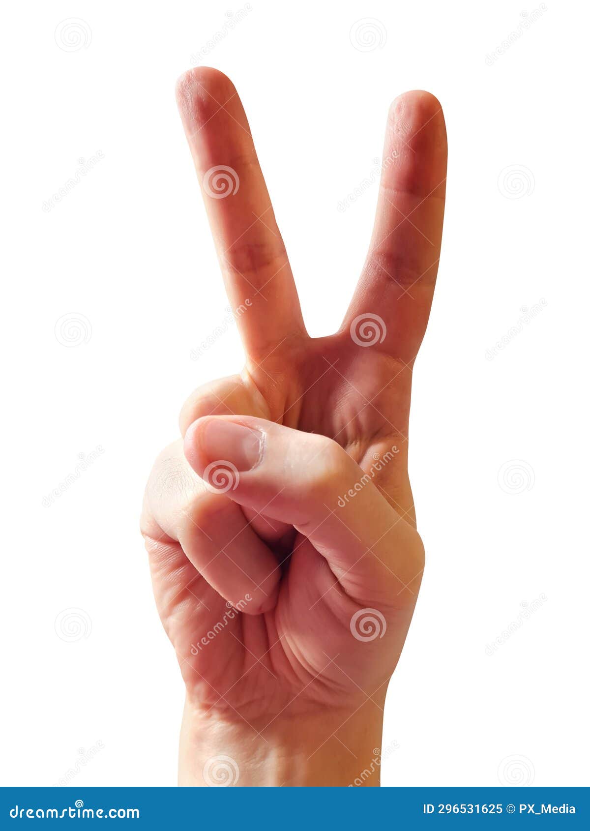Human Hand Showing Two Fingers - Victory, Peace Sign Stock Image ...