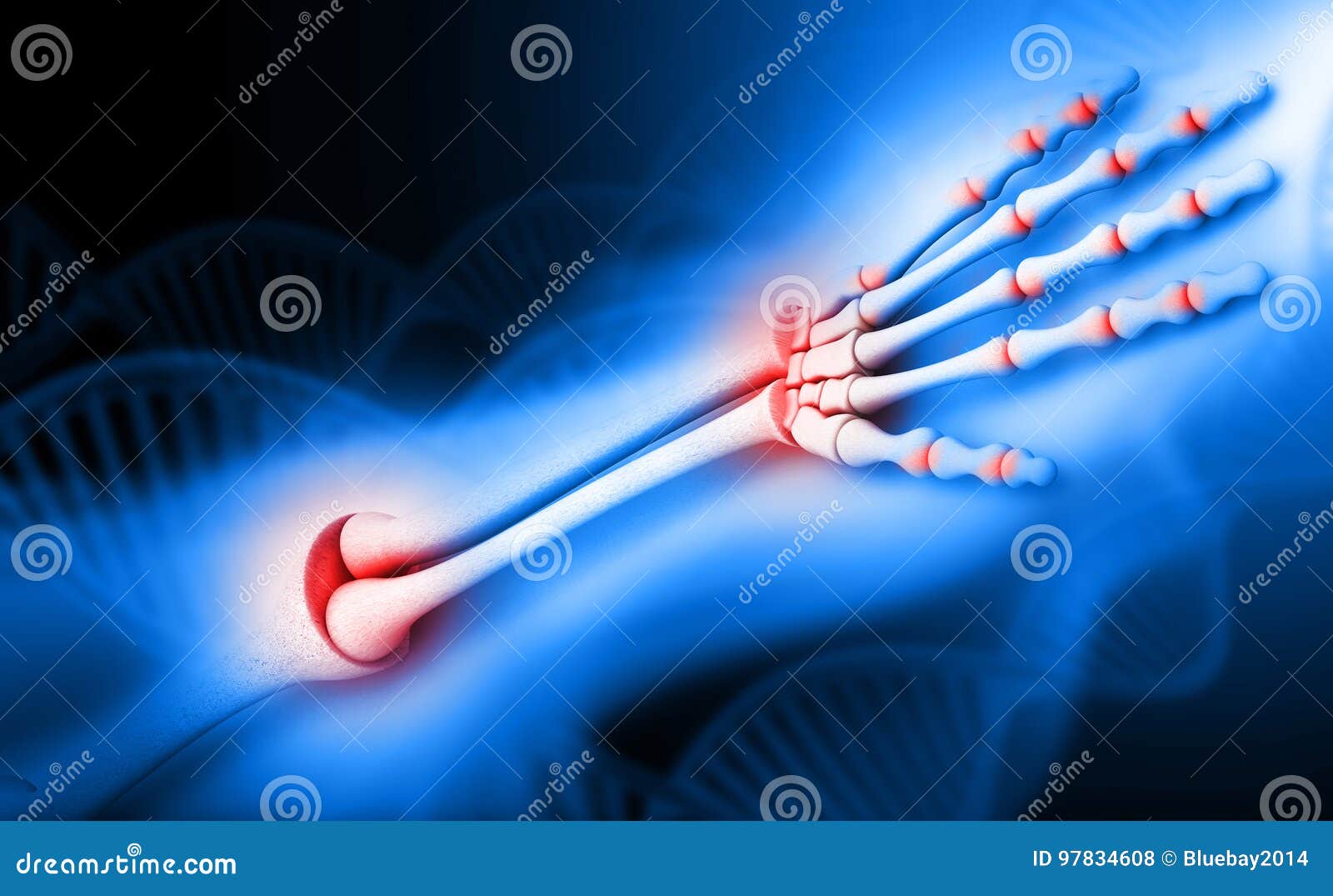 Human hand skeleton stock illustration. Illustration of joints - 97834608
