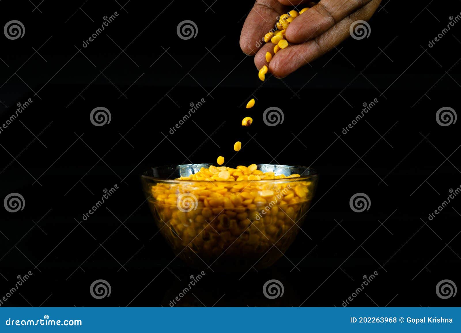 Human Hand with Split Yellow Gram in a Bowl Stock Photo - Image of ...