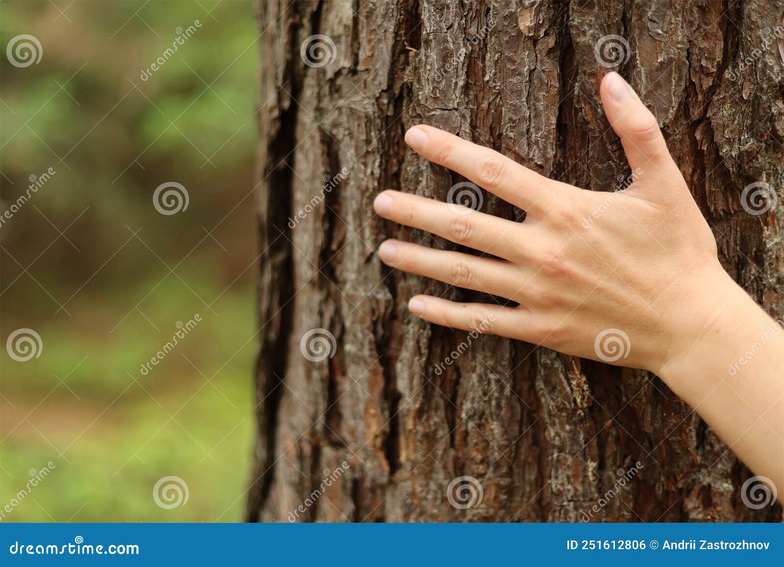 Human Hand on a Tree, Unity with Nature Stock Photo - Image of hand ...