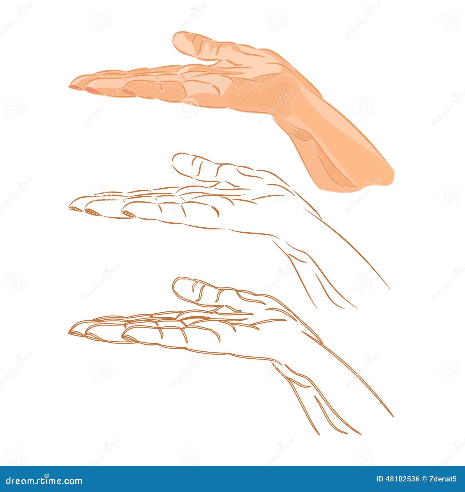 Human hand vector stock vector. Illustration of palm - 48102536