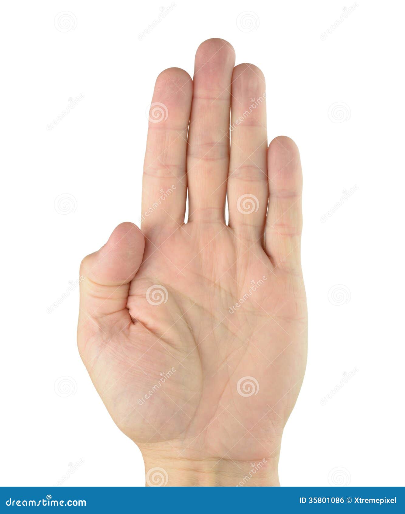 Human Hand stock photo. Image of five, hand, forefinger - 35801086