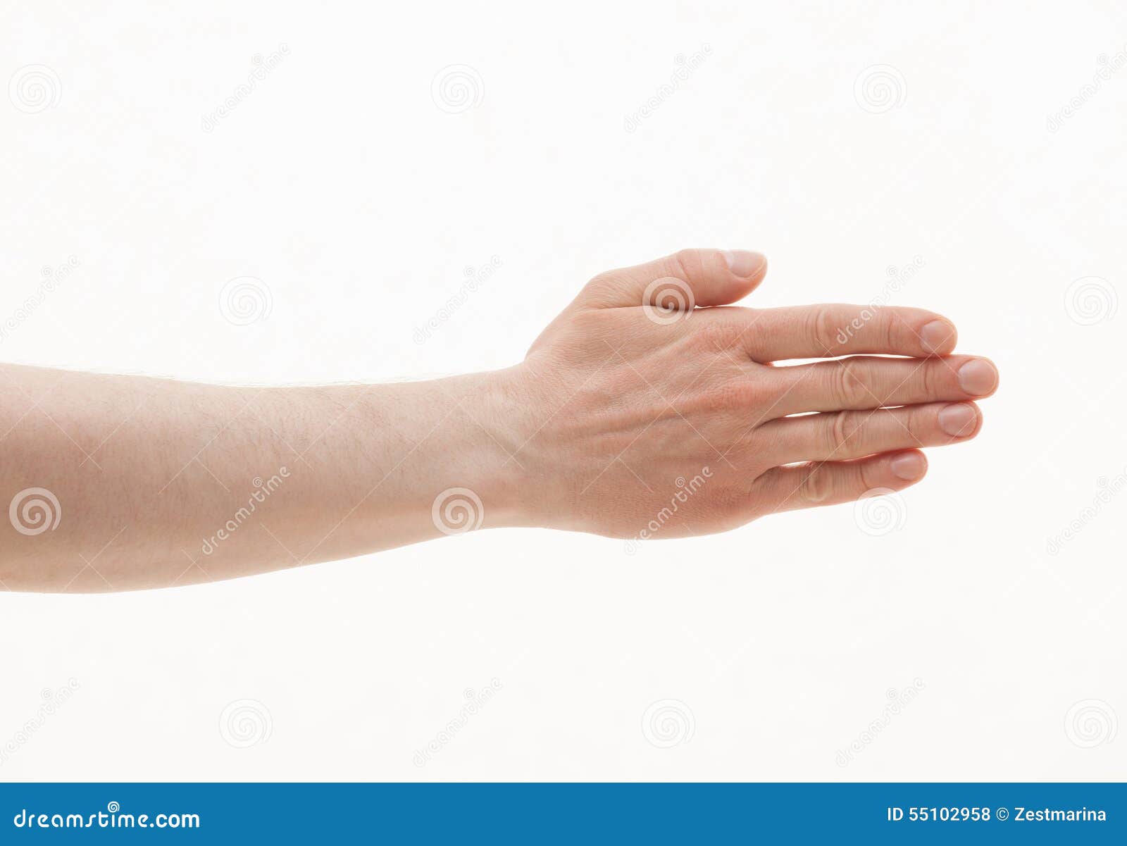 Human hand stock photo. Image of palm, space, unrecognizable - 55102958