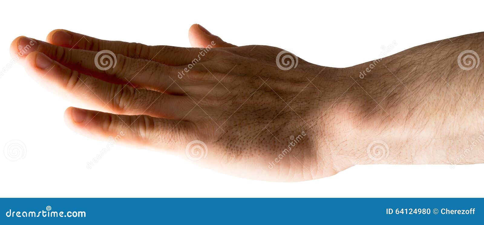 Human hand on white stock photo. Image of male, human - 64124980