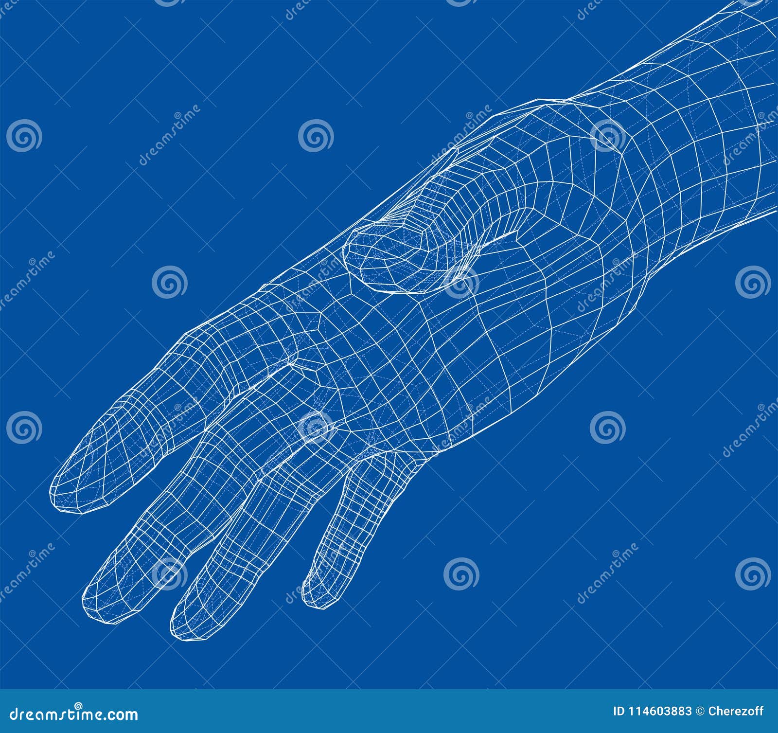 Human Hand Wire-frame. Vector Stock Vector - Illustration of blueprint ...