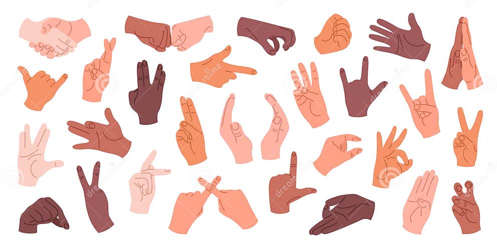 Human Hands with Different Gestures and Positions. Stock Illustration ...