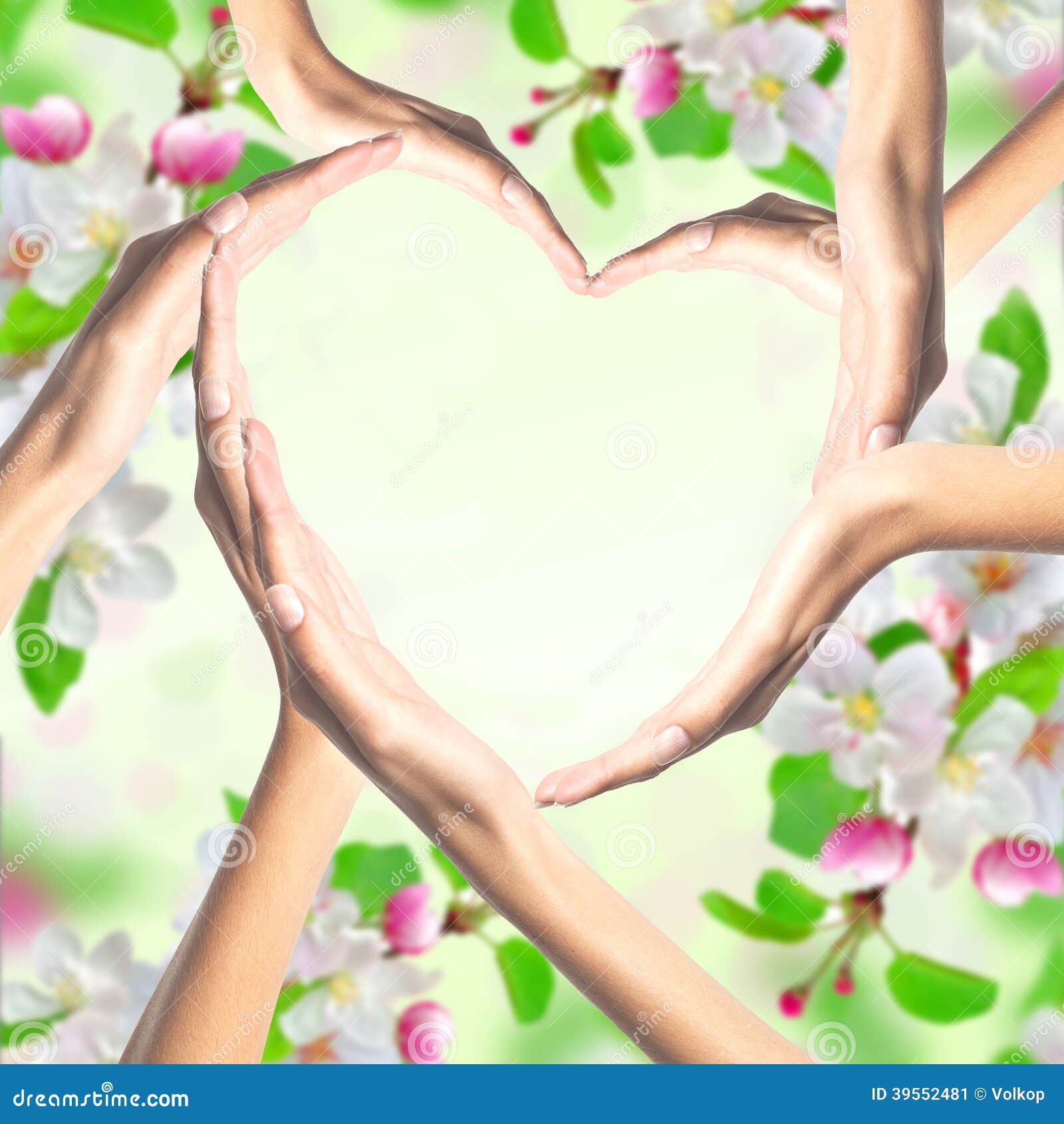 Human Hands in Heart Shape Over Bright Spring Blossom Stock Image ...