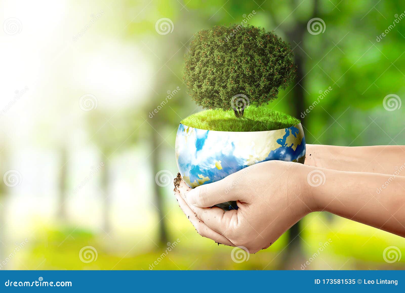 Human Hands Holding the Earth with a Growing Tree Above it Stock Image ...