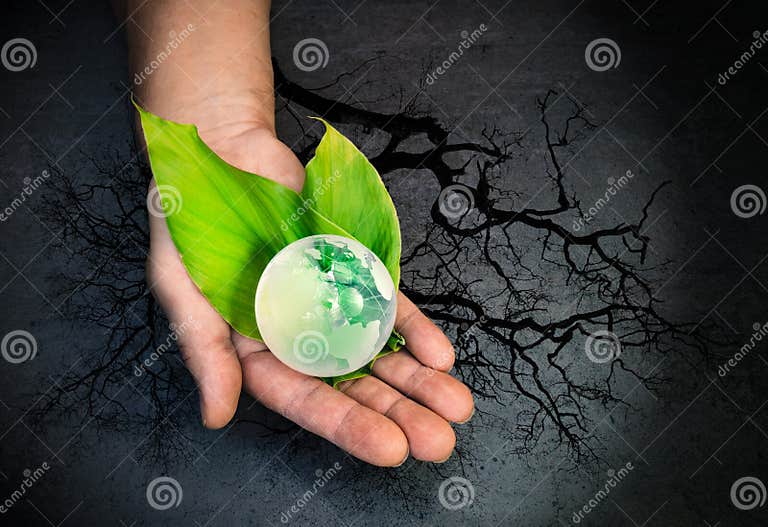 Human Hands Holding A Green Globe Of Planet Earth Over Leaves Stock