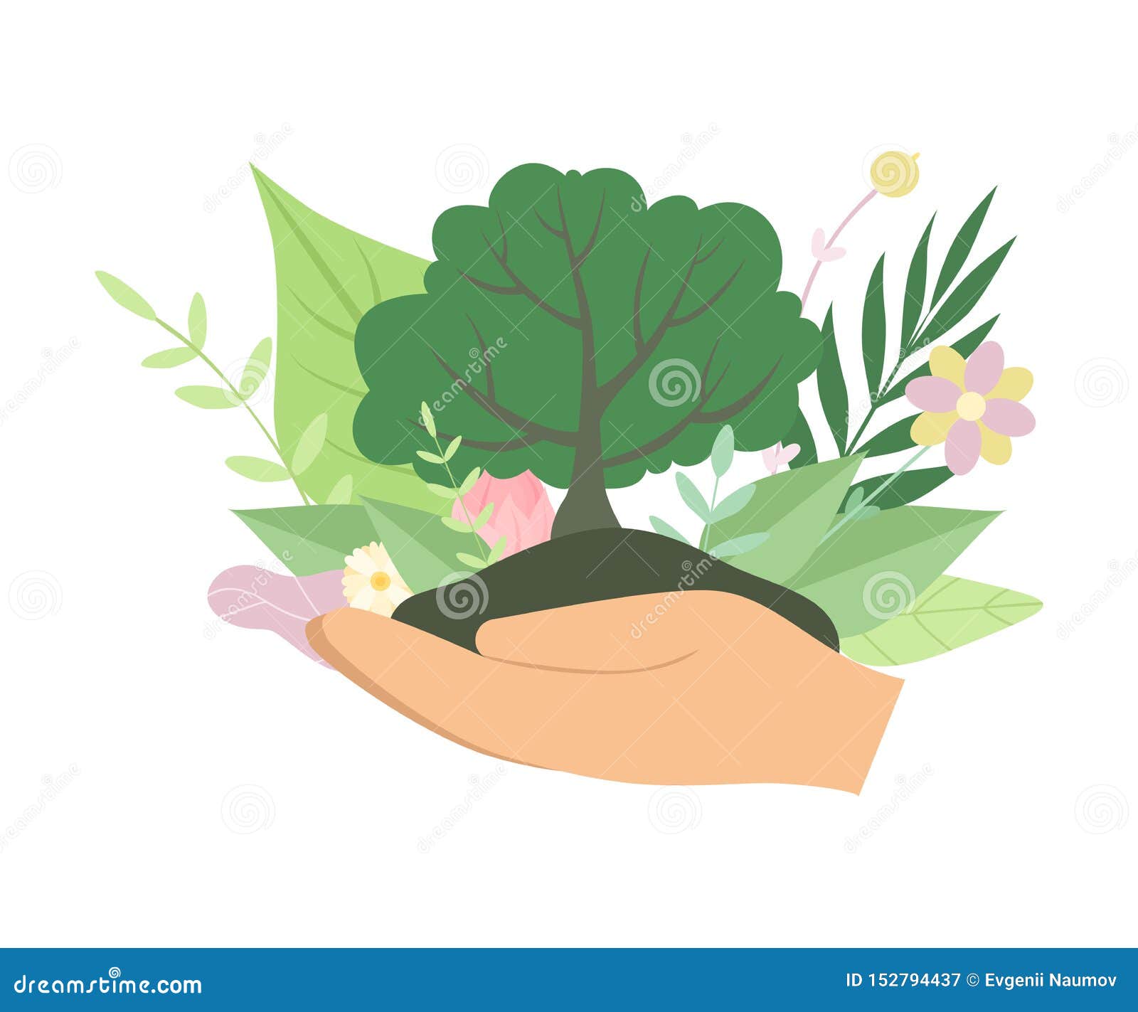 Human Hands Holding Green Tree Environmental Protection Ecology