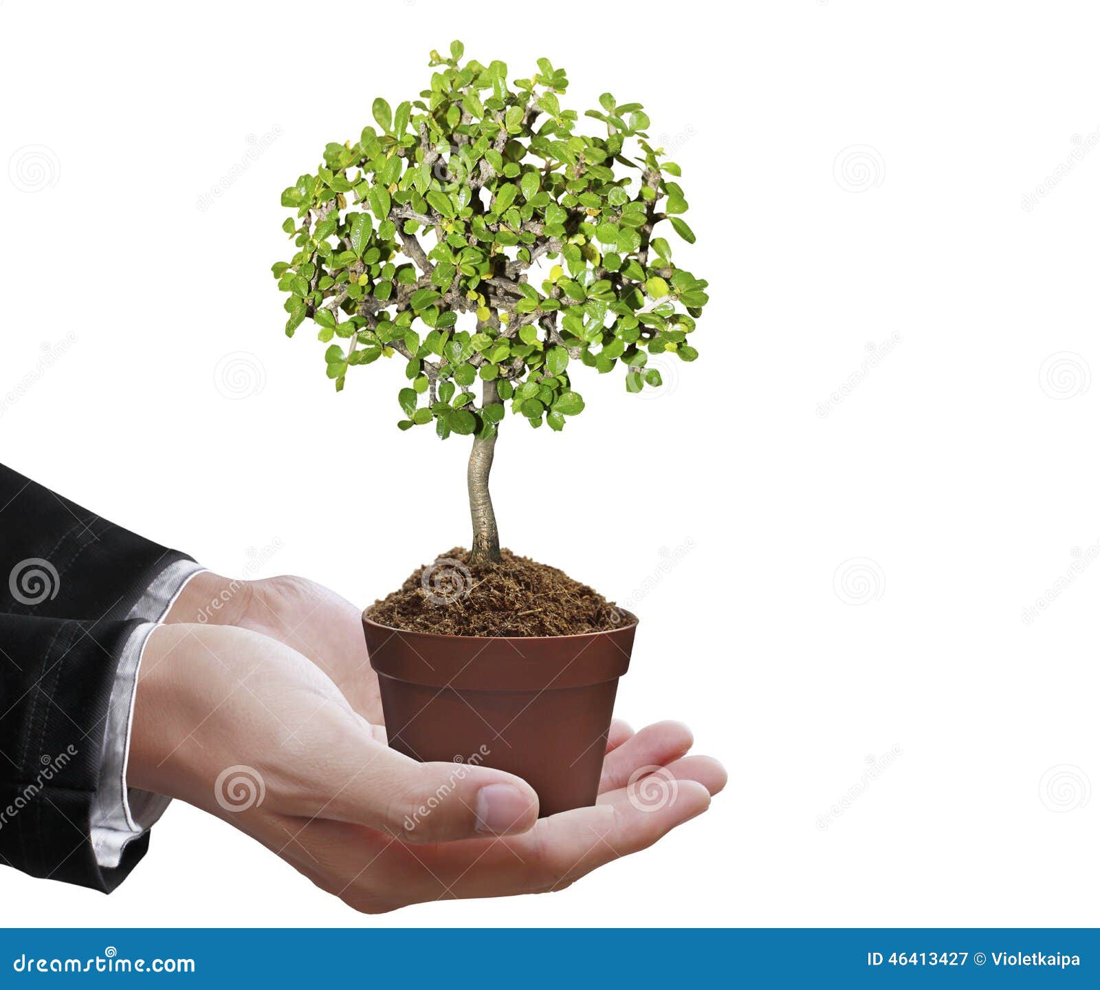 Human hands holding tree stock image. Image of imagination - 46413427