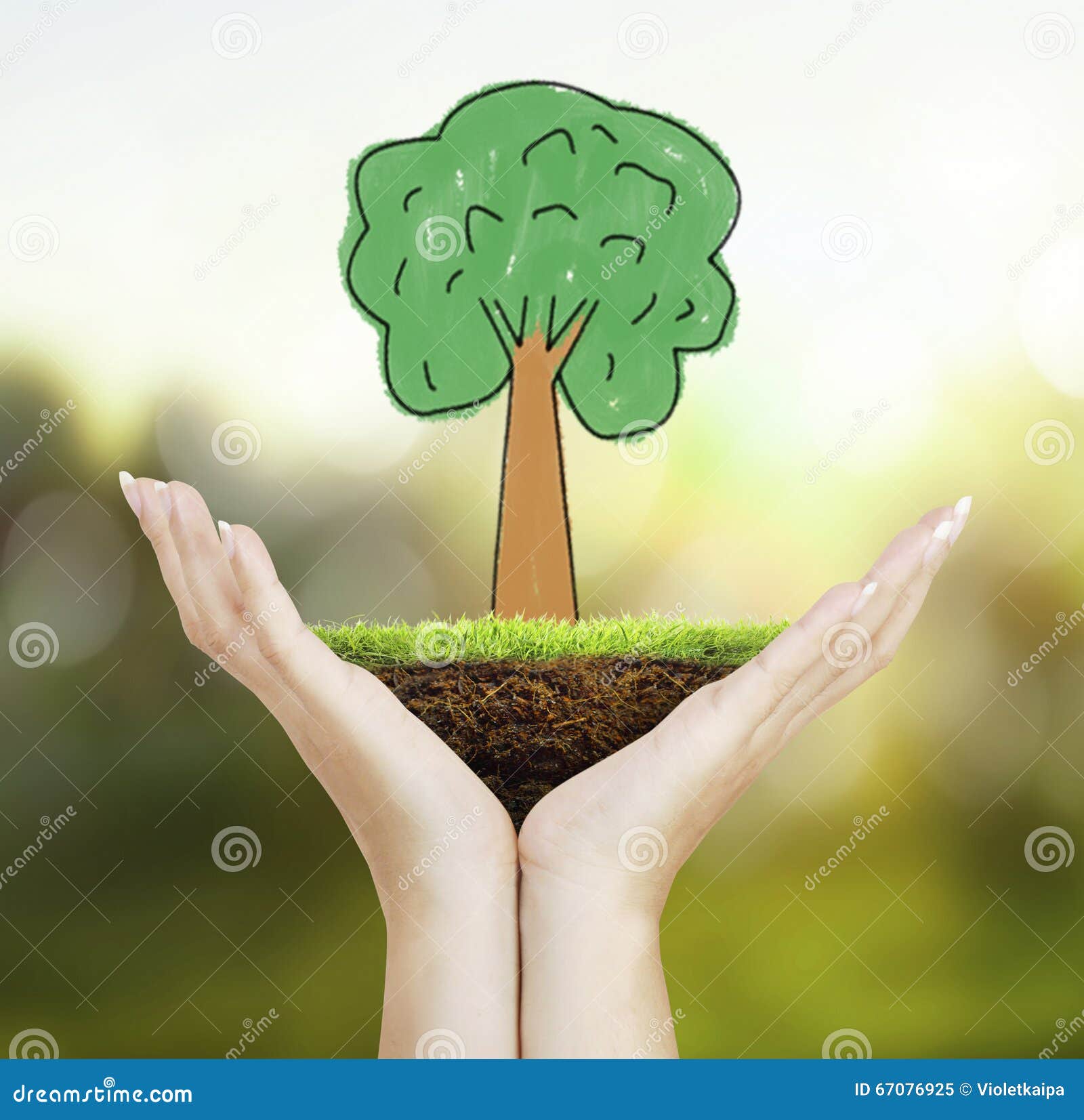 Human hands holding tree stock illustration. Illustration of guidance ...