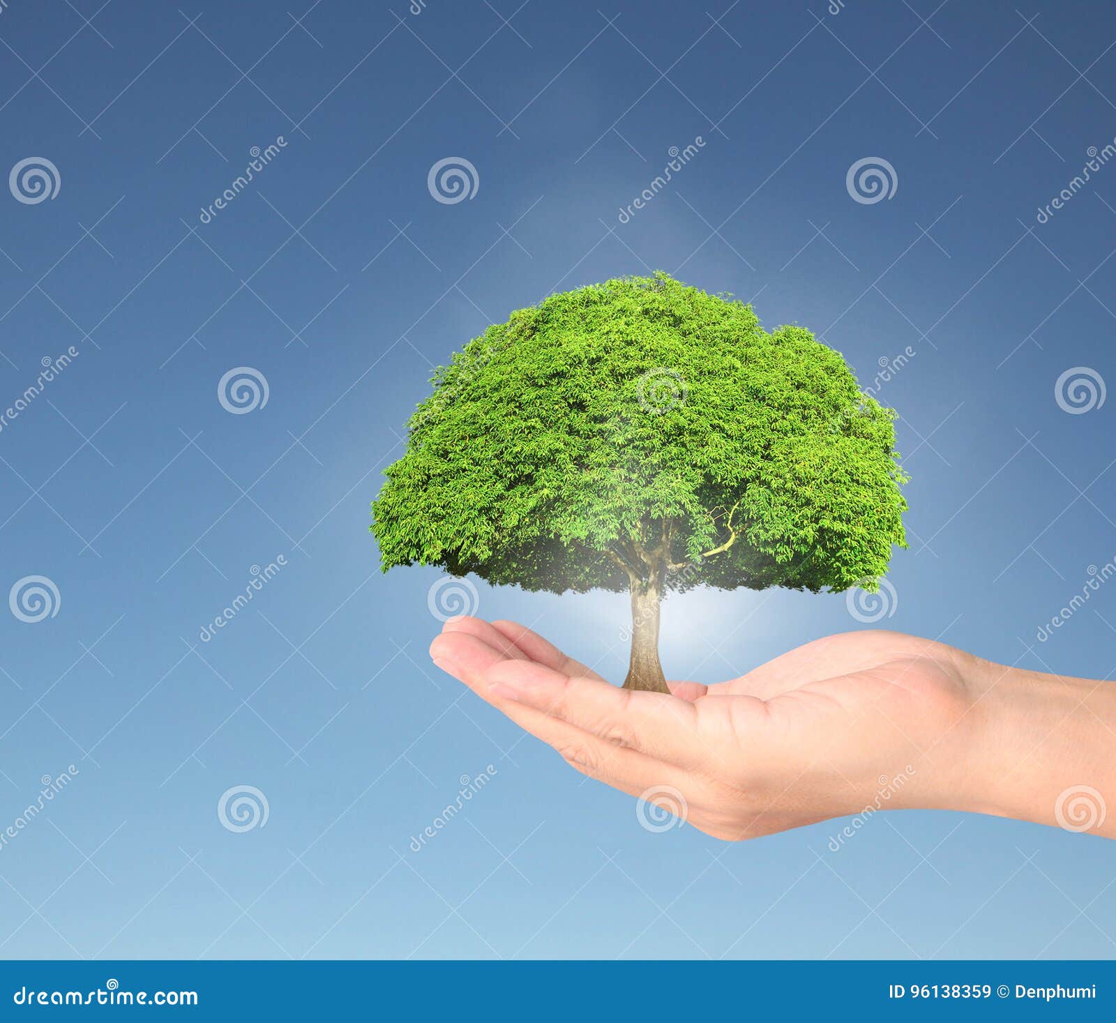 Human Hands Holding Tree Sprout Stock Image - Image of agriculture ...