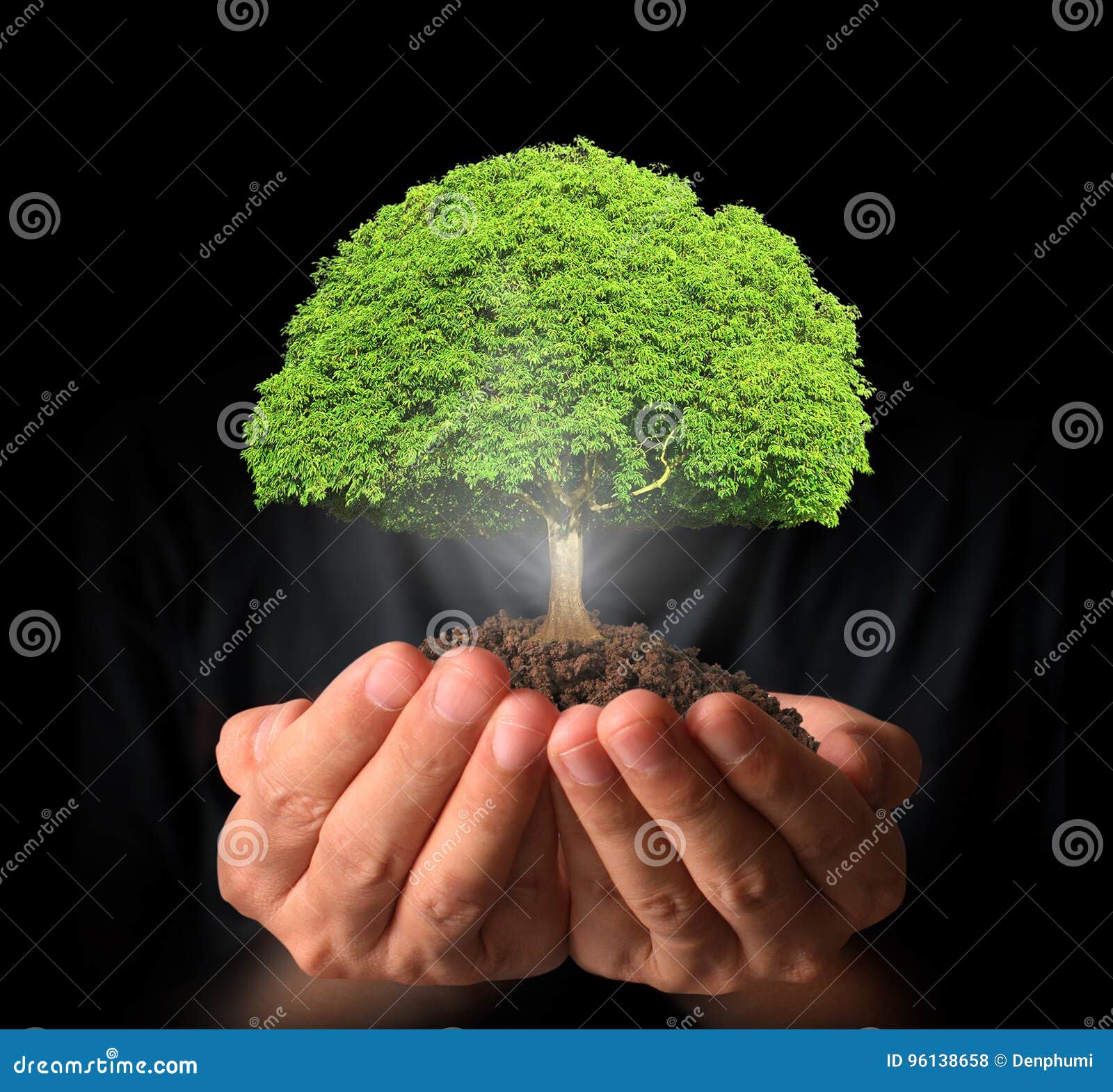 Human Hands Holding Tree Sprout Stock Photo - Image of green, concept ...