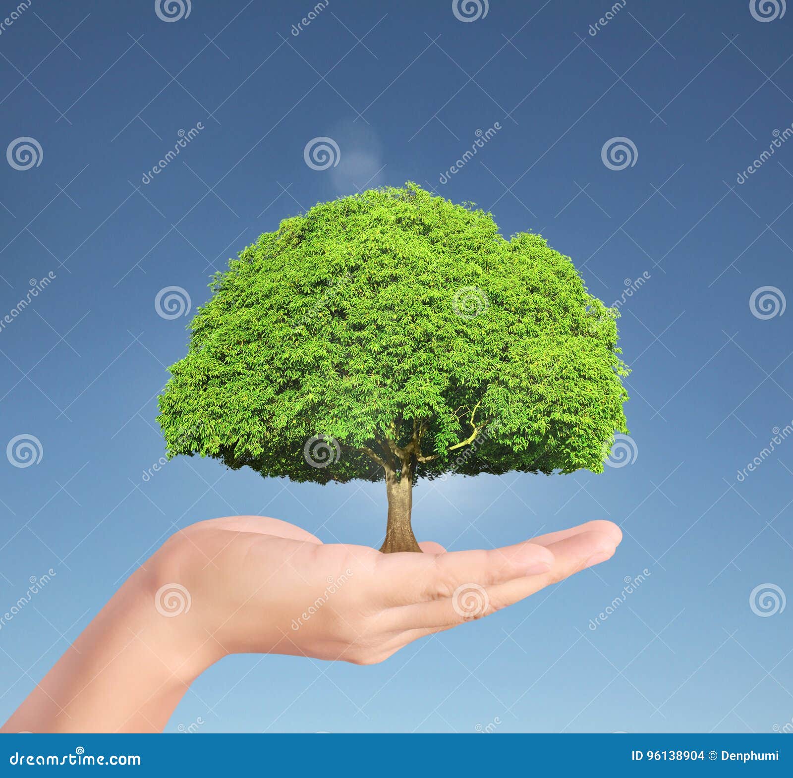Human Hands Holding Tree Sprout Stock Photo - Image of soil, growing ...
