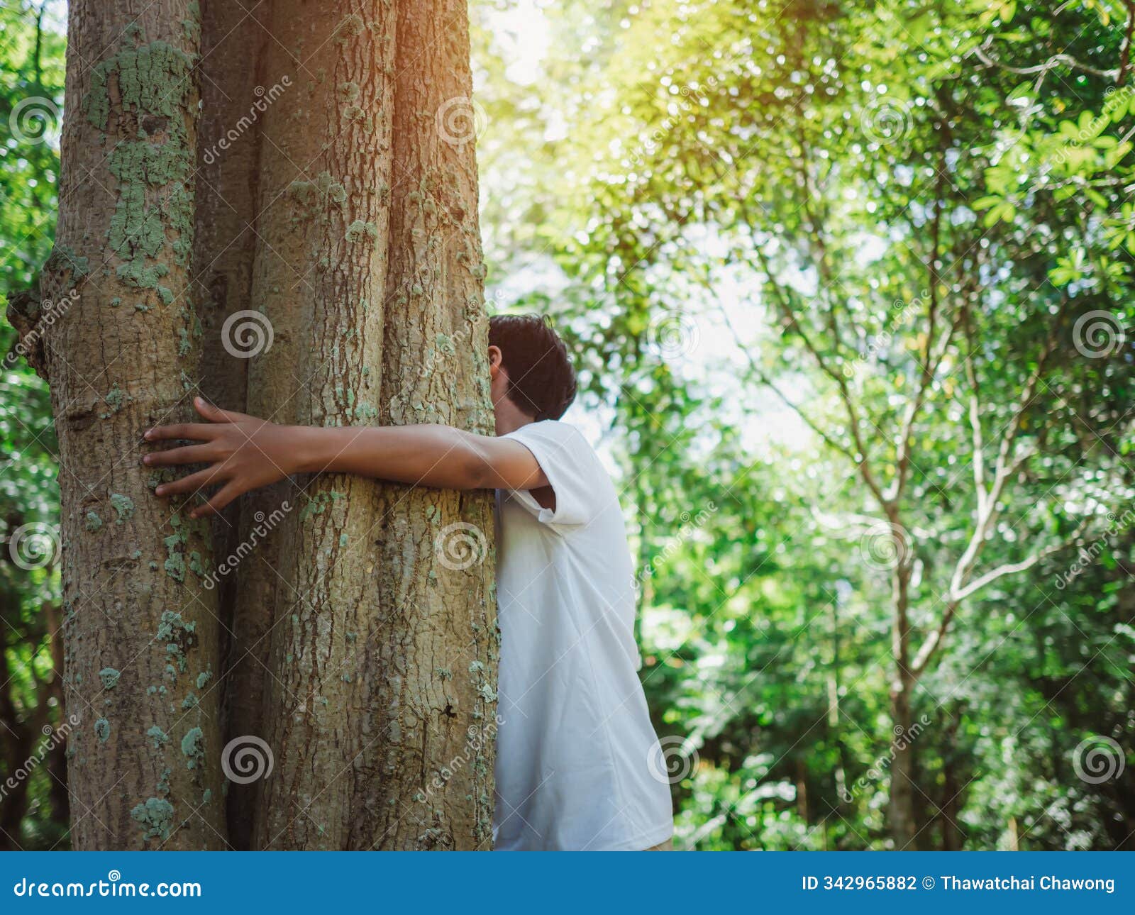 Human Hands are Hugging a Tree in Love. Representing Helping To ...
