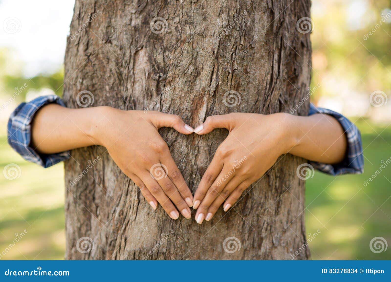 Human hands hugging tree stock photo. Image of embracing - 83278834