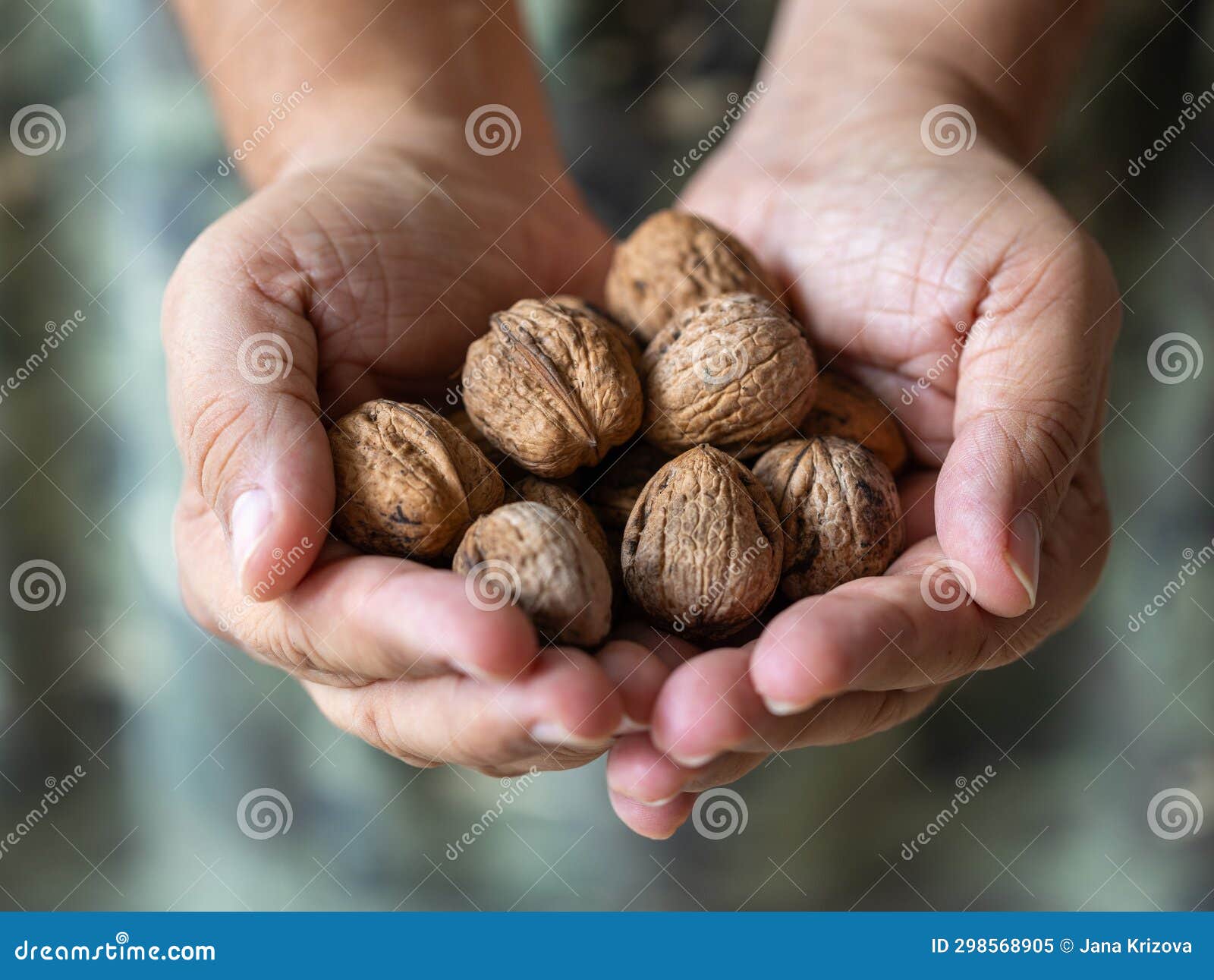 Human Hands Joined and Holding Nuts in Palms Stock Image - Image of ...