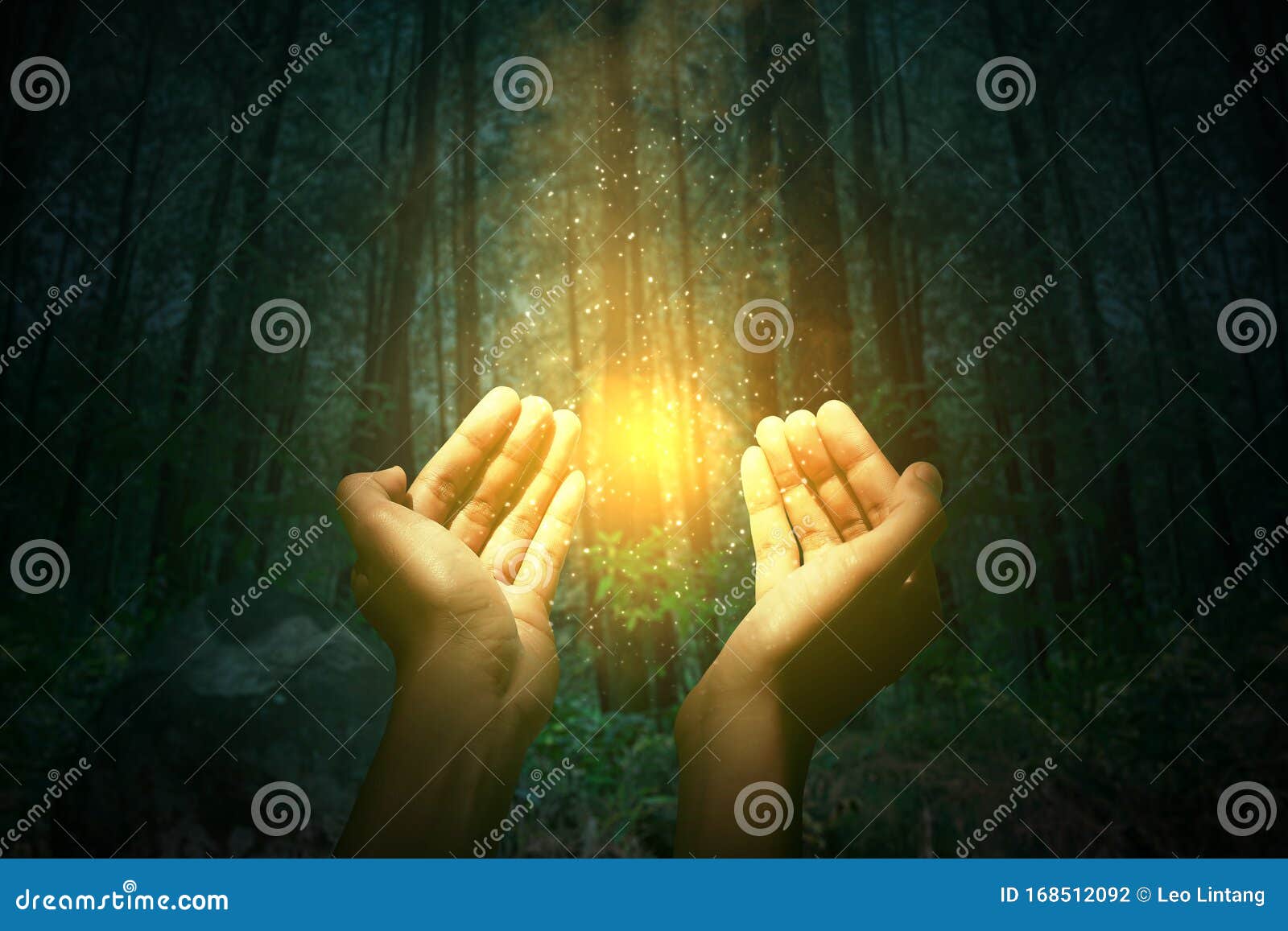 Human Hands with Magic Twinkles Stock Photo - Image of power ...