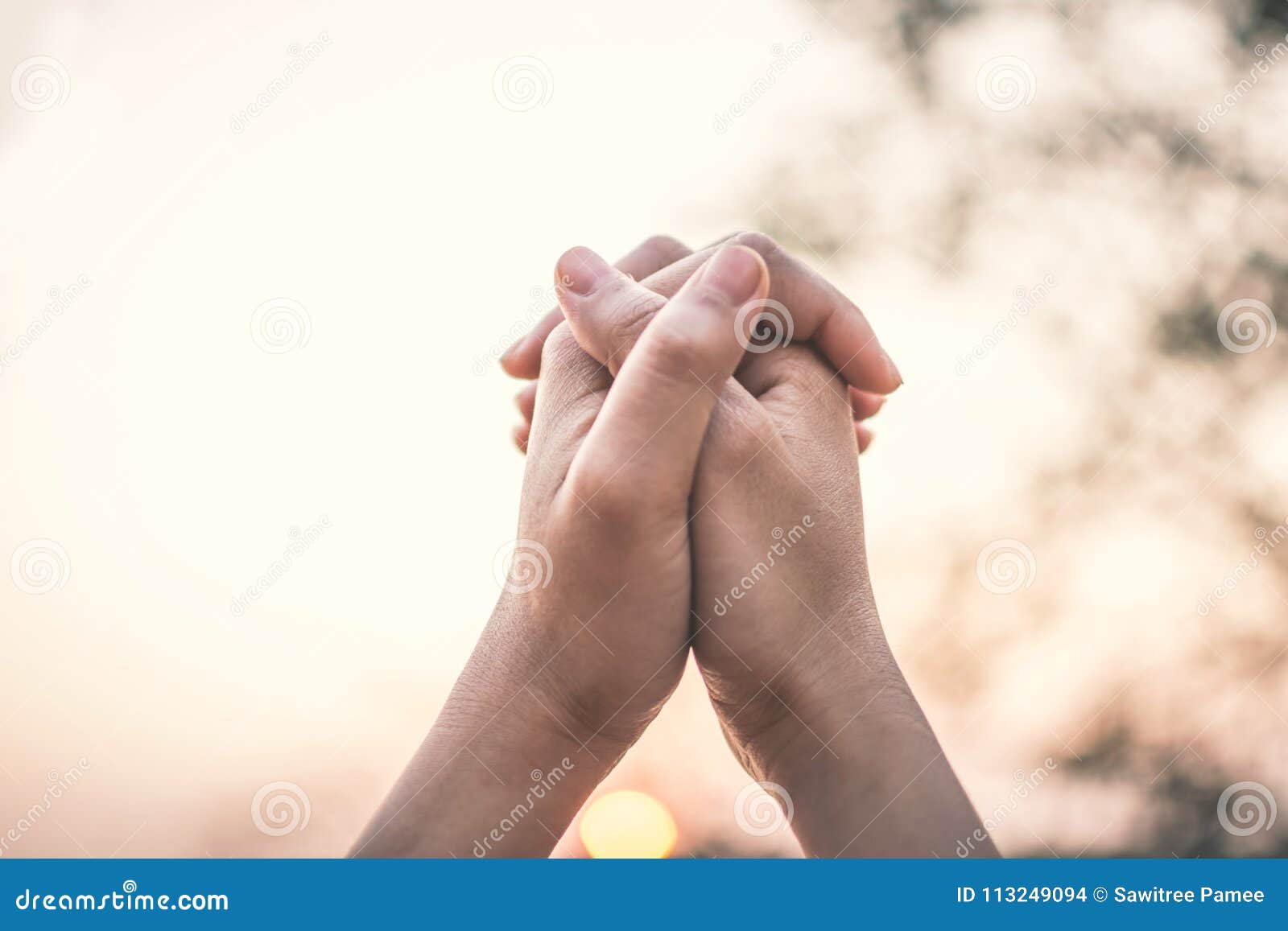 Human Hands Praying on Nature during Sunset Stock Photo - Image of ...
