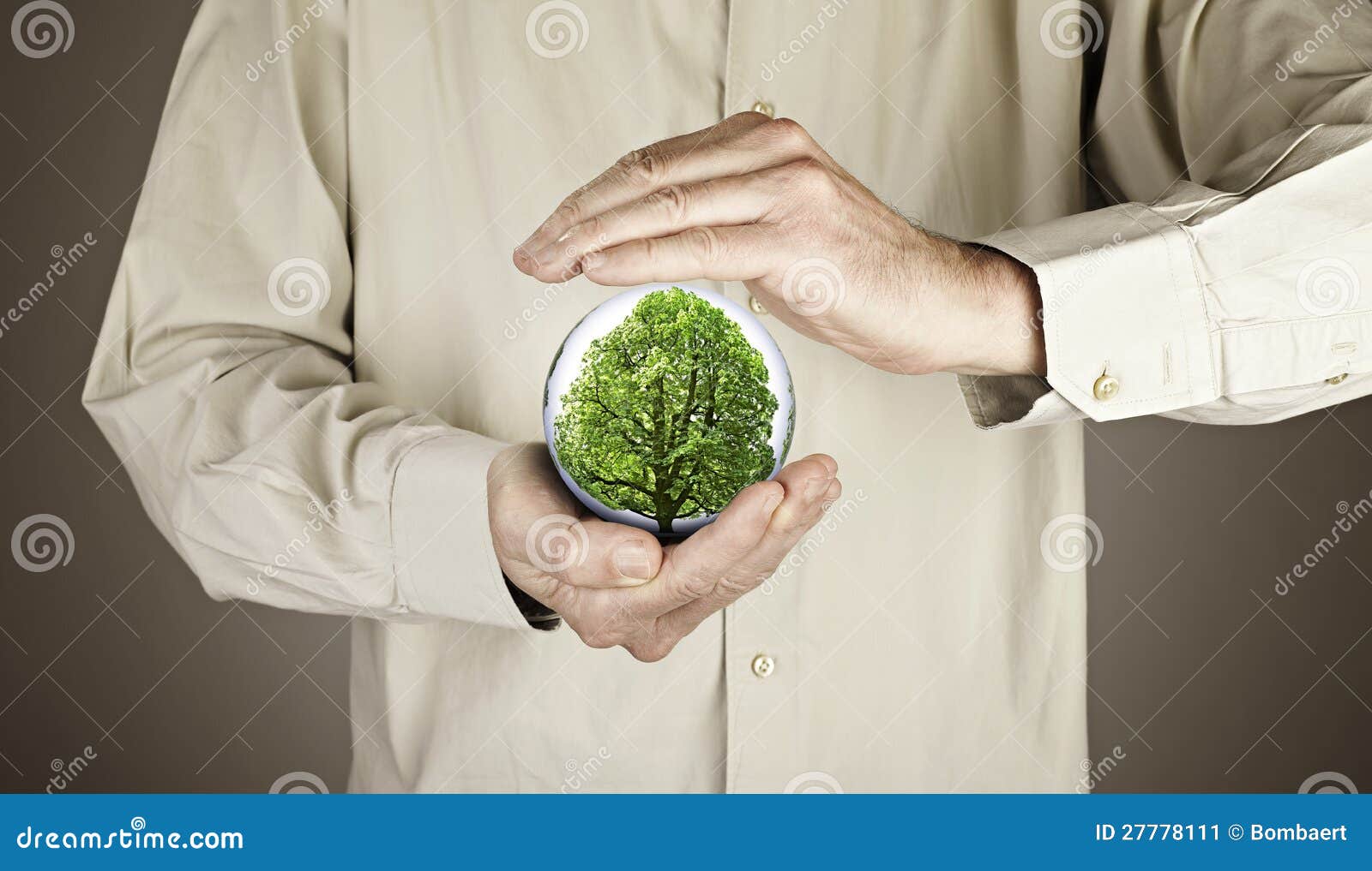 Human Hands Protecting Tree Stock Image - Image of grass, earth: 27778111