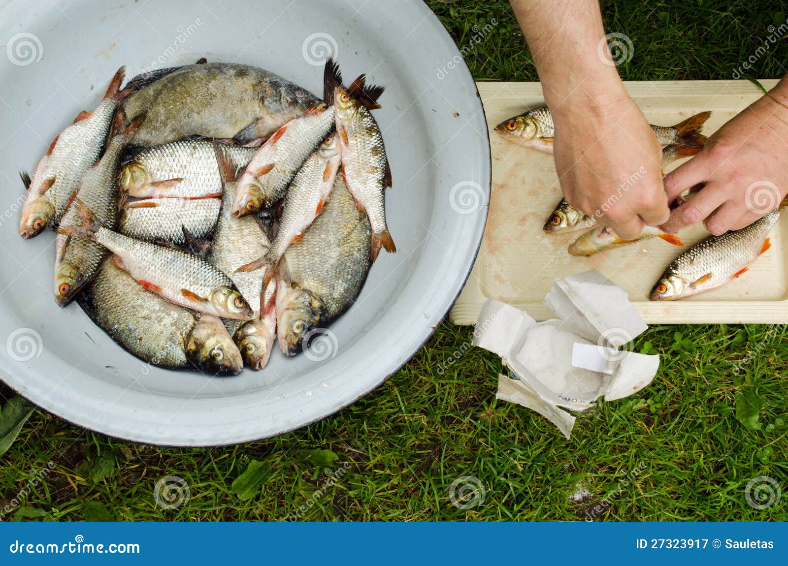 Bream Roach Tench Fishes Caught Lake After Fishing Royalty-Free Stock ...
