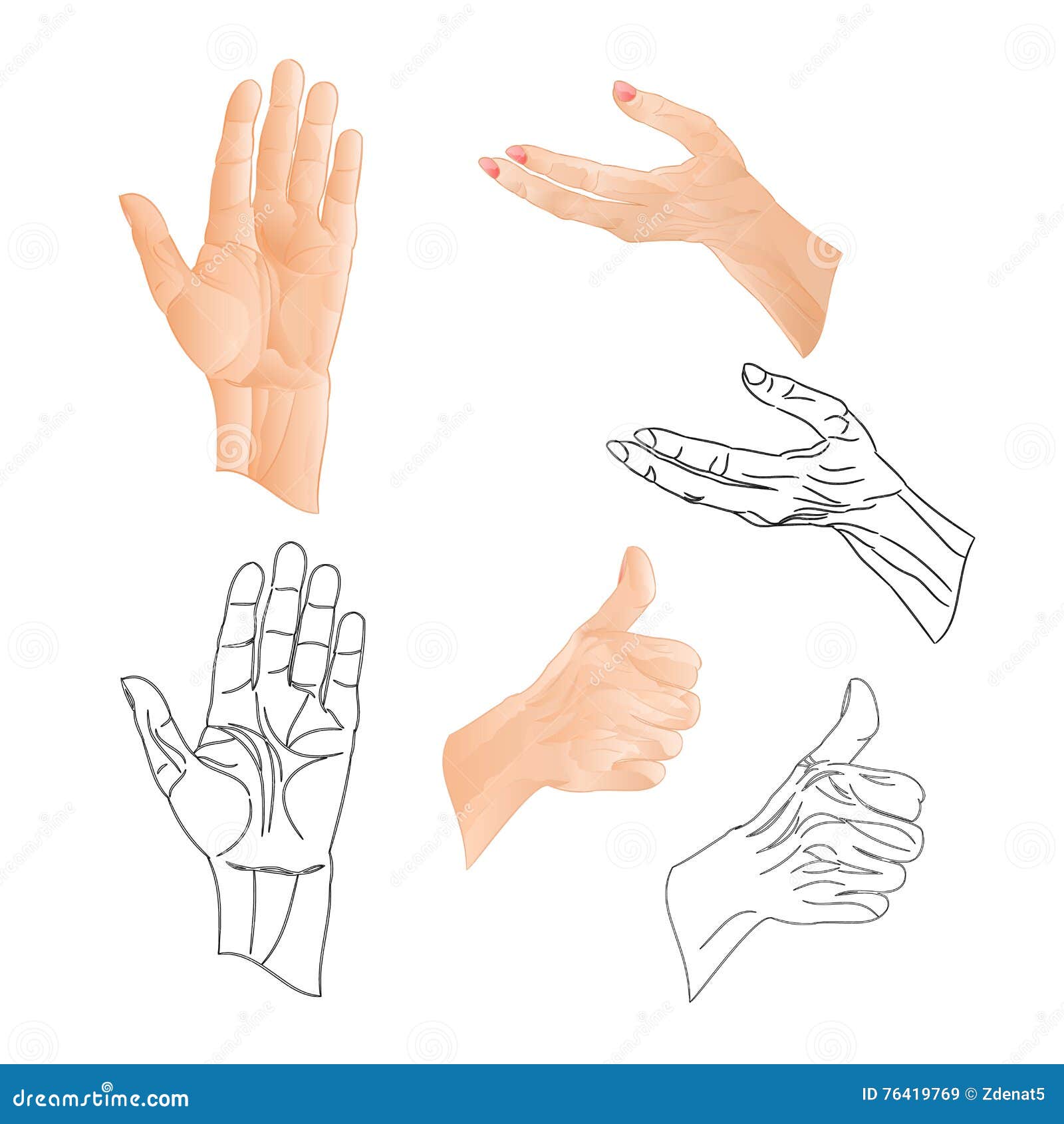Human hands set two Vector stock vector. Illustration of human - 76419769