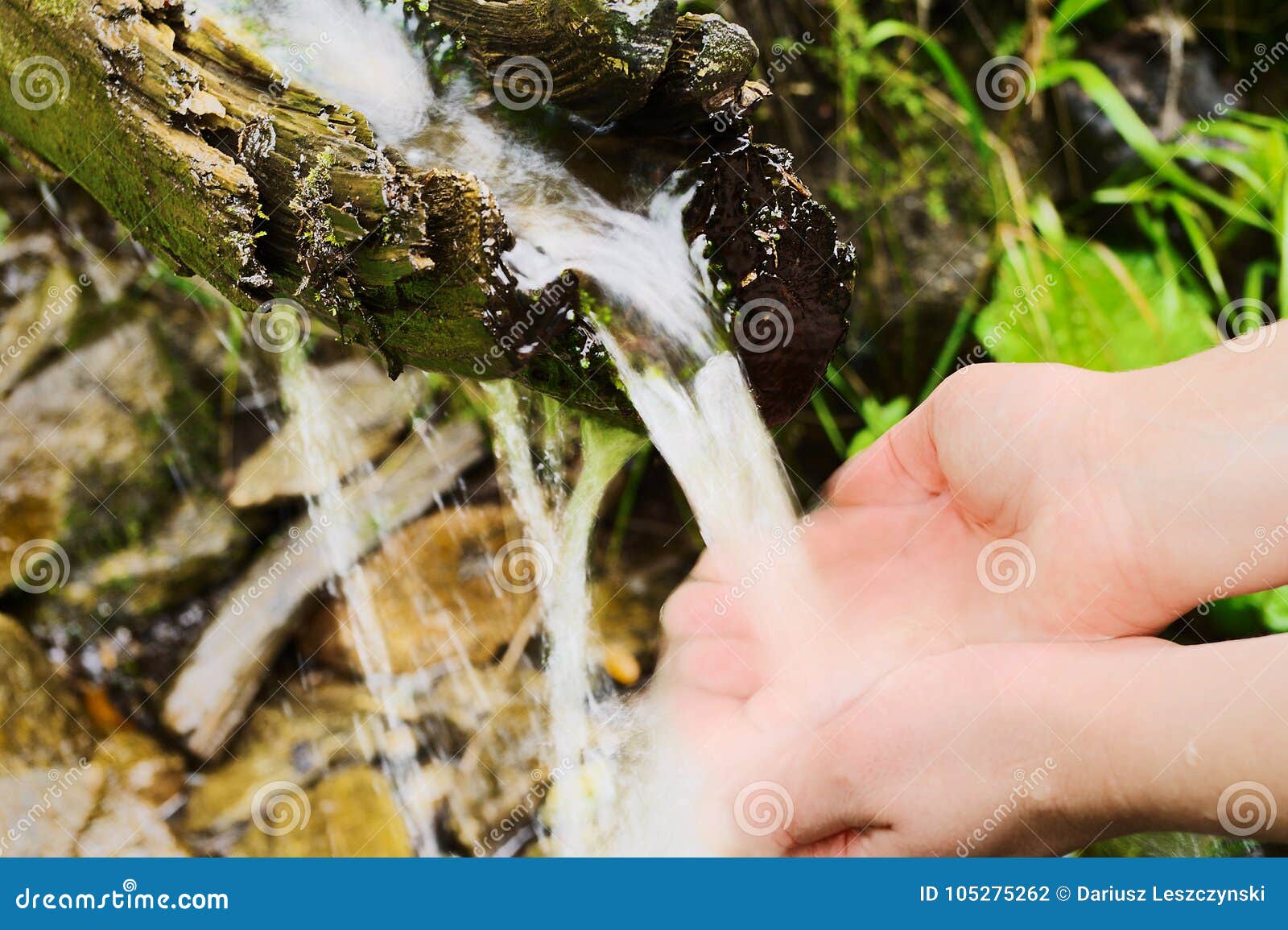 Human Hands Taking Pure, Fresh, Drinking Water from Natural Source ...