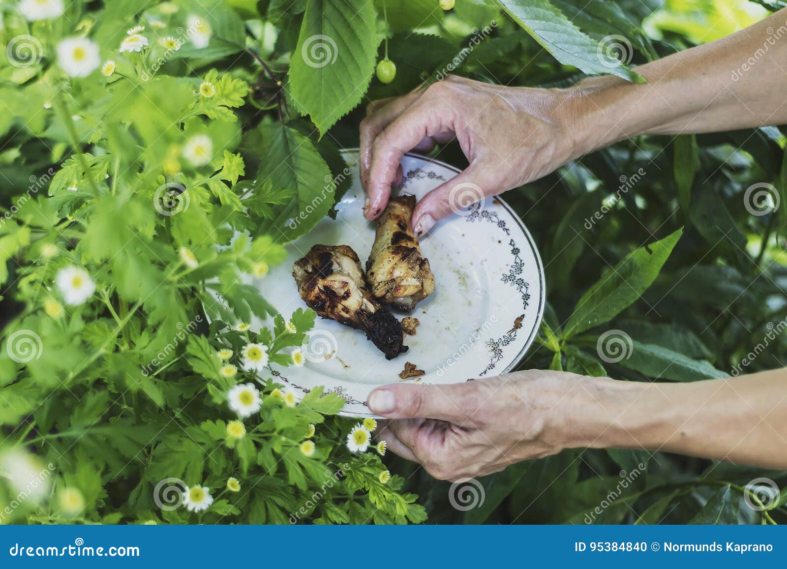 Human Hands There with Meat Skewer Stock Photo - Image of hands, picnic ...