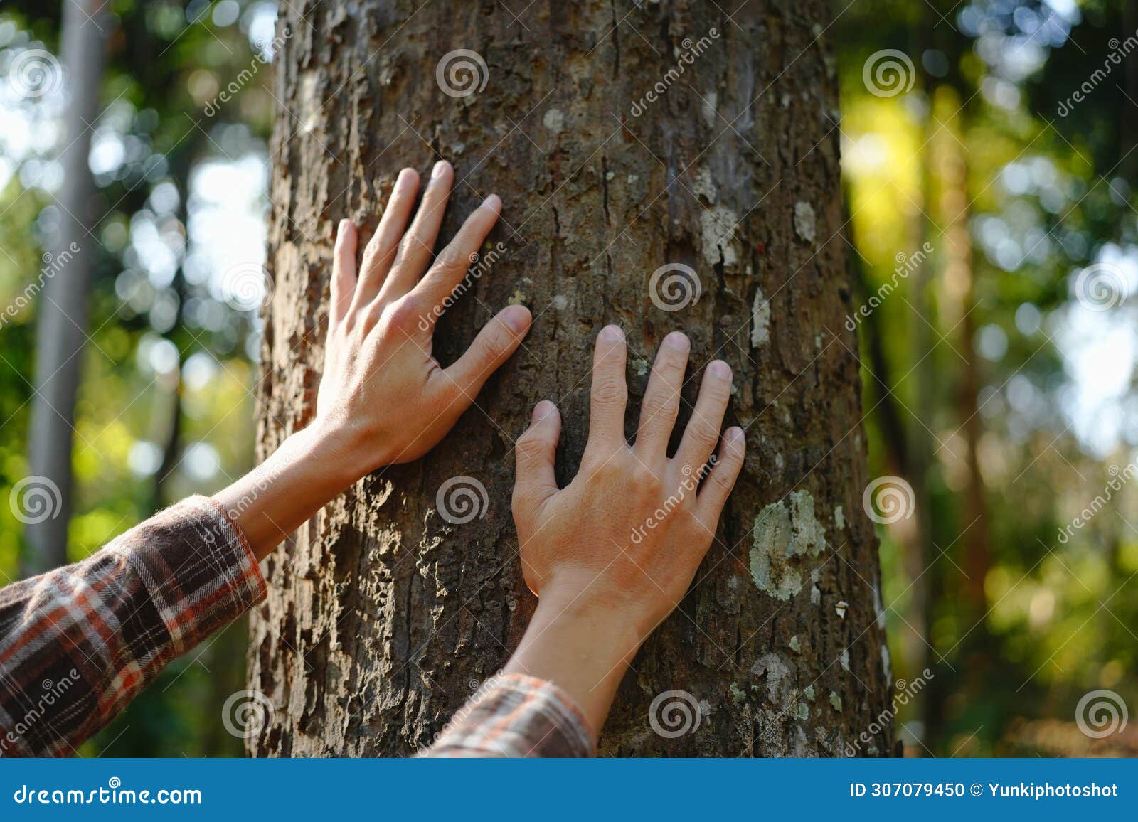 Fly Net Zero: Embracing Sustainable Aviation Fuel, SAF, For A Greener Future Royalty-Free Stock ...