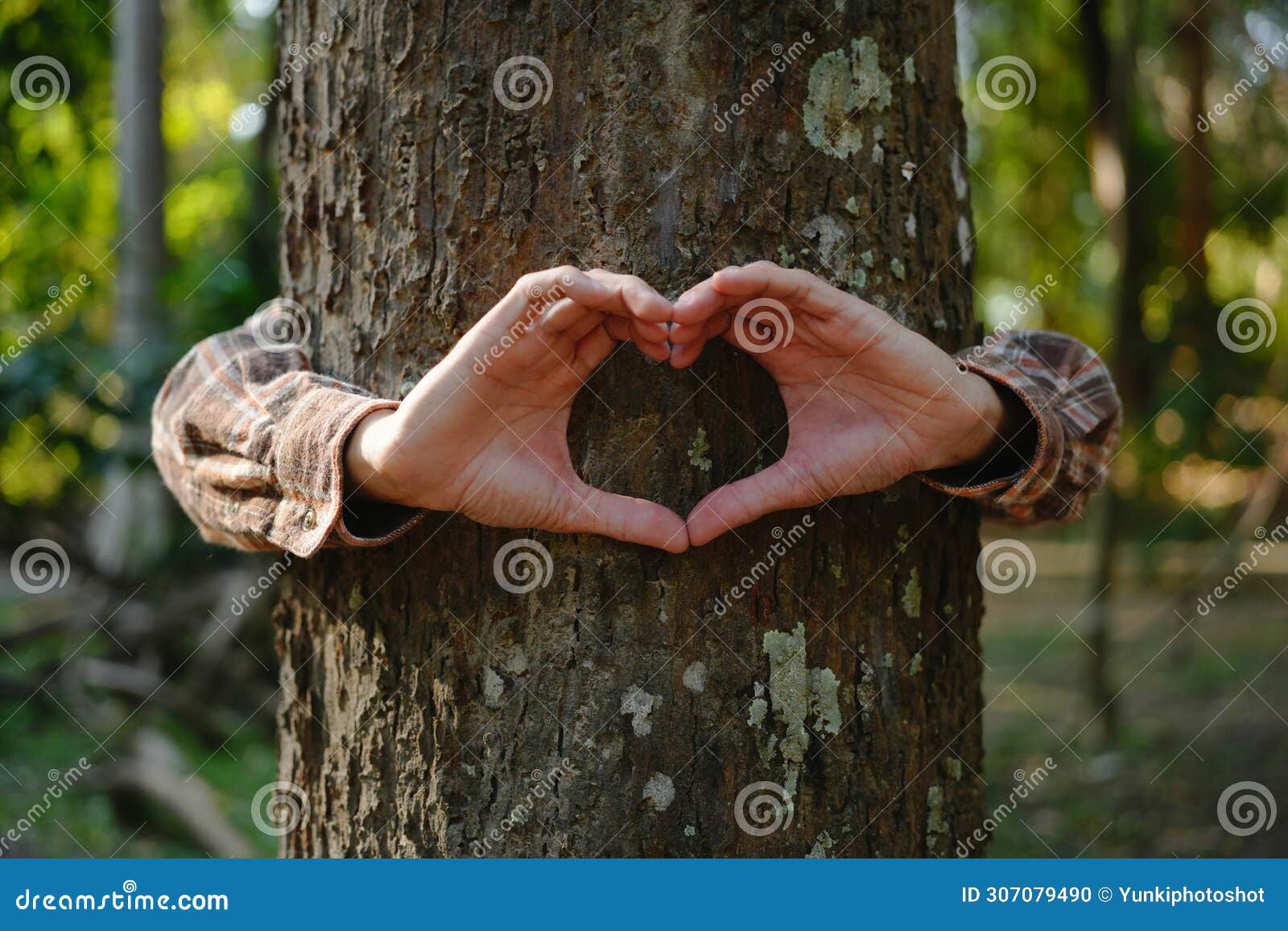 Fly Net Zero: Embracing Sustainable Aviation Fuel, SAF, For A Greener Future Royalty-Free Stock ...