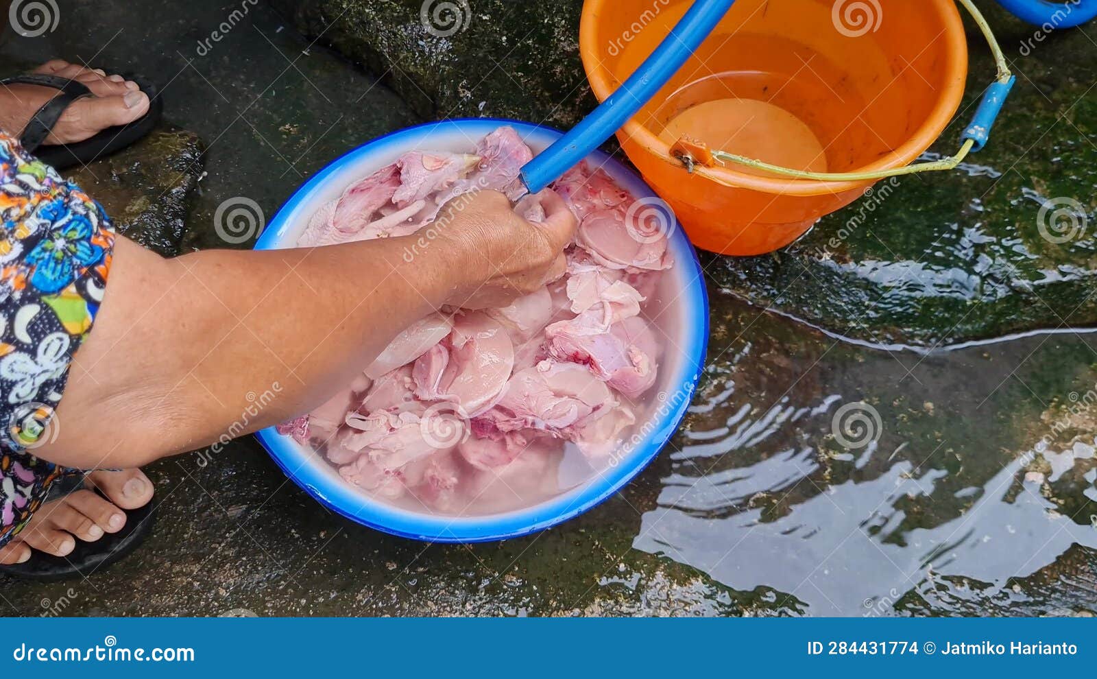 Human Hands Washing Chicken Meat Stock Footage - Video of infectious ...