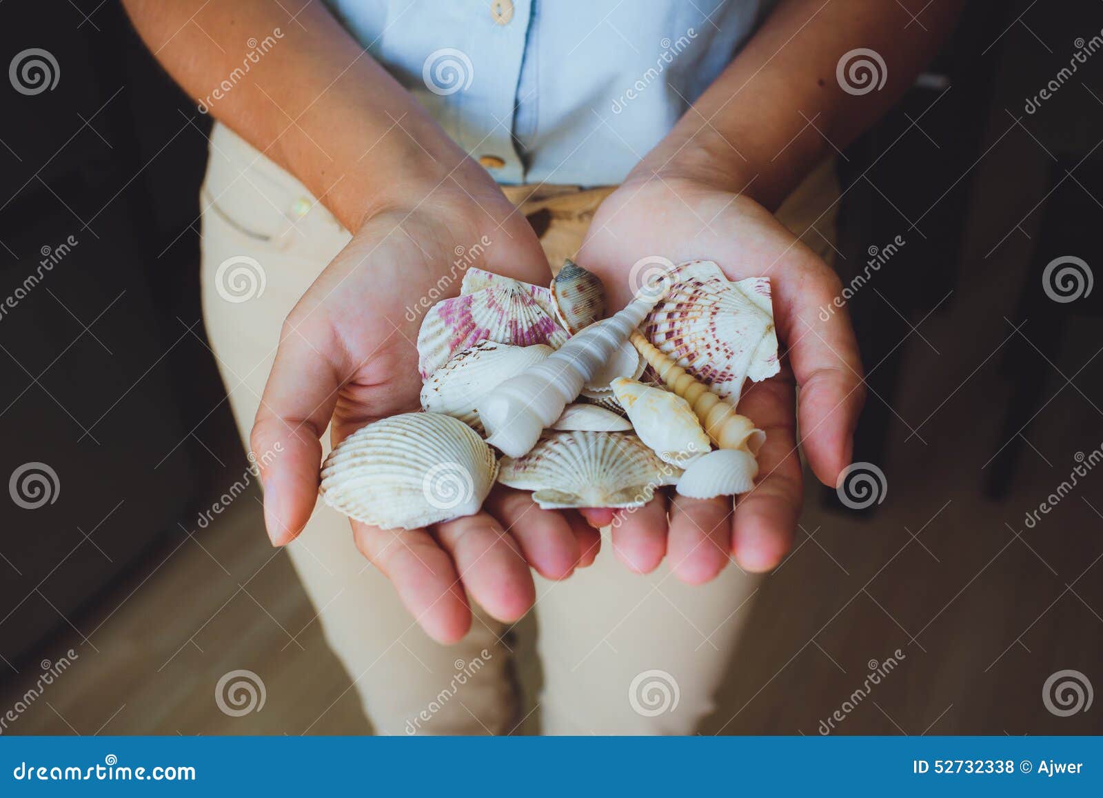 Human Hands, Women Holding Seashells, Starfish Stock Photo - Image of ...