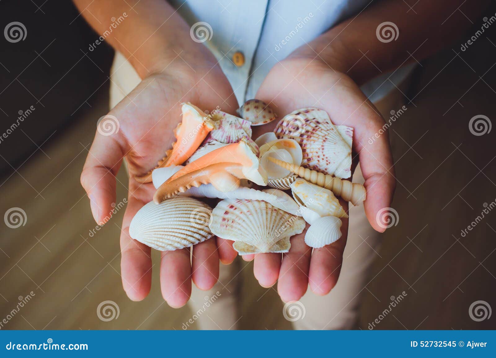 Human Hands, Women Holding Seashells, Starfish Stock Image - Image of ...