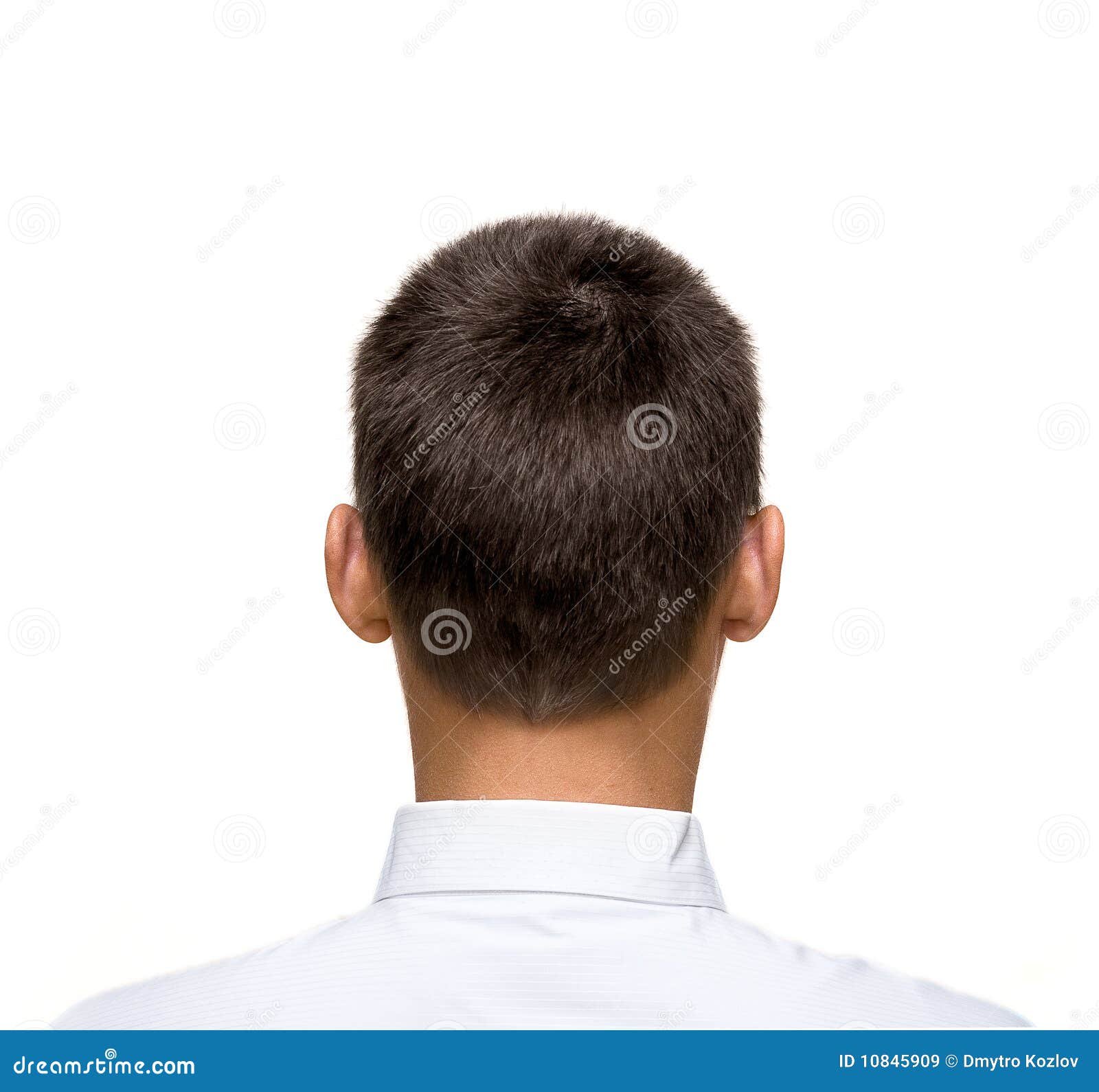 Human head stock image. Image of dimensional, focus, health - 10845909