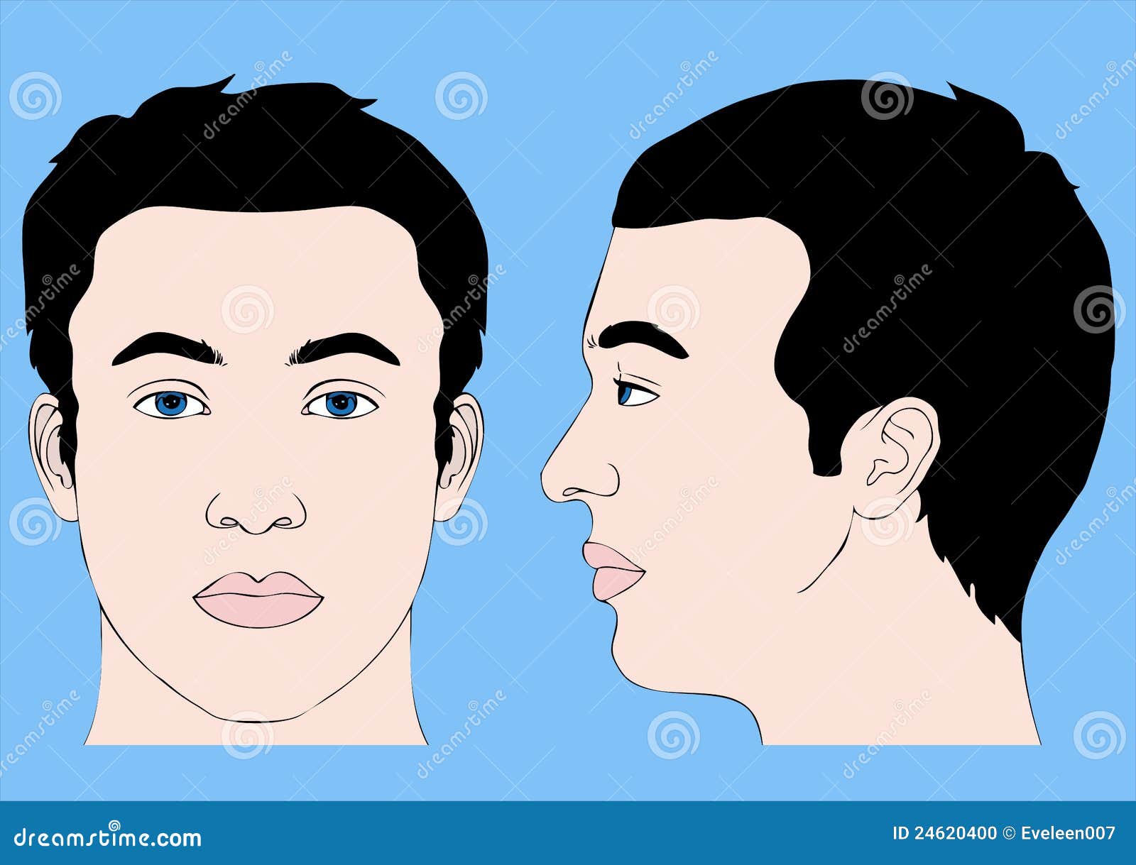 Human head stock vector. Illustration of adult, looking - 24620400