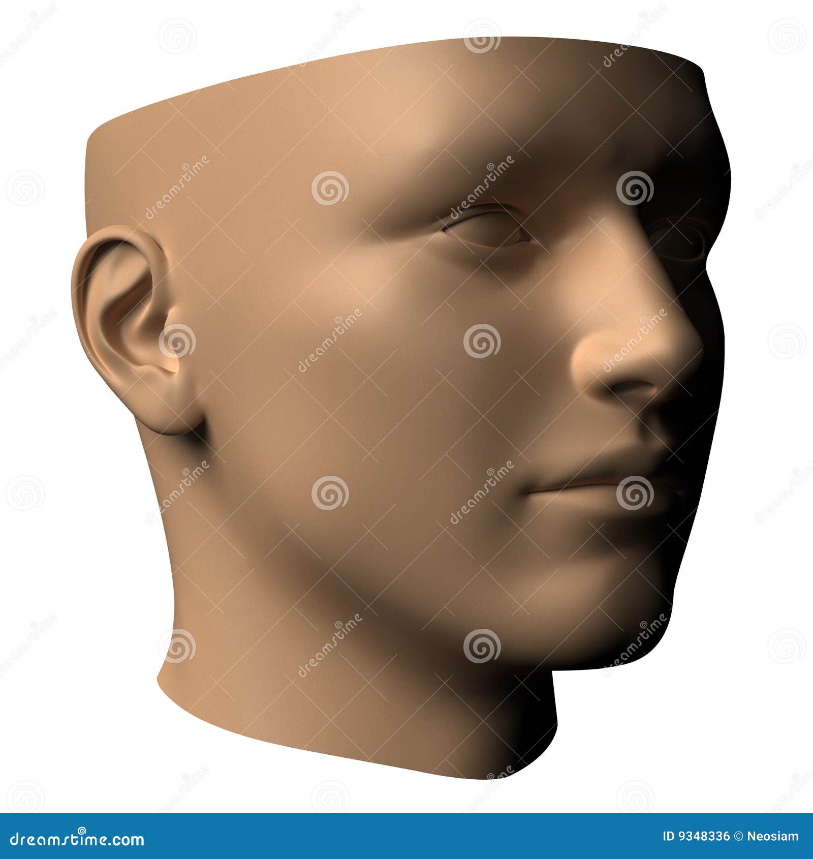 Human head without brain stock illustration. Illustration of head - 9348336