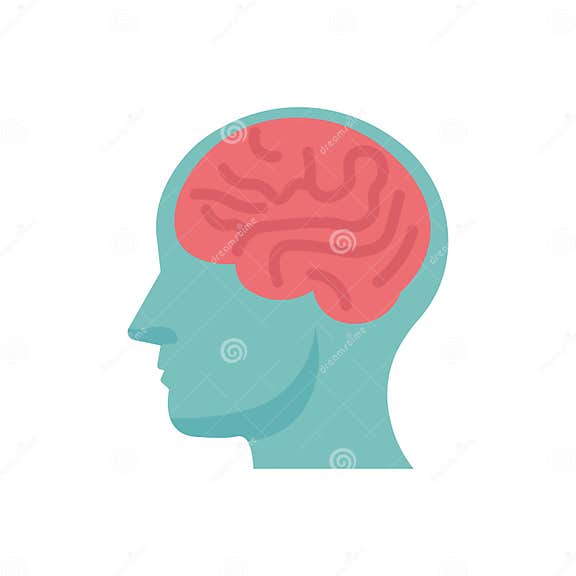 Human Head with Brain. Neurology. Vector Illustration Stock Vector ...