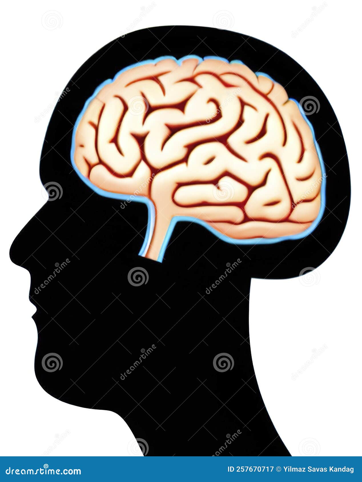 Human head with brain stock illustration. Illustration of machine ...