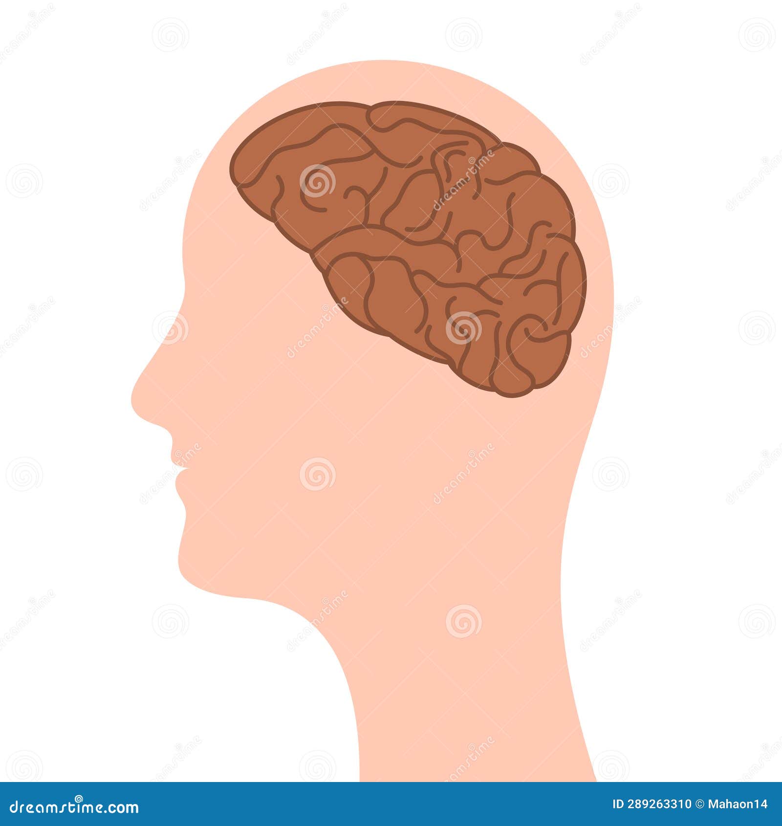 Human head with brain stock vector. Illustration of psychology - 289263310