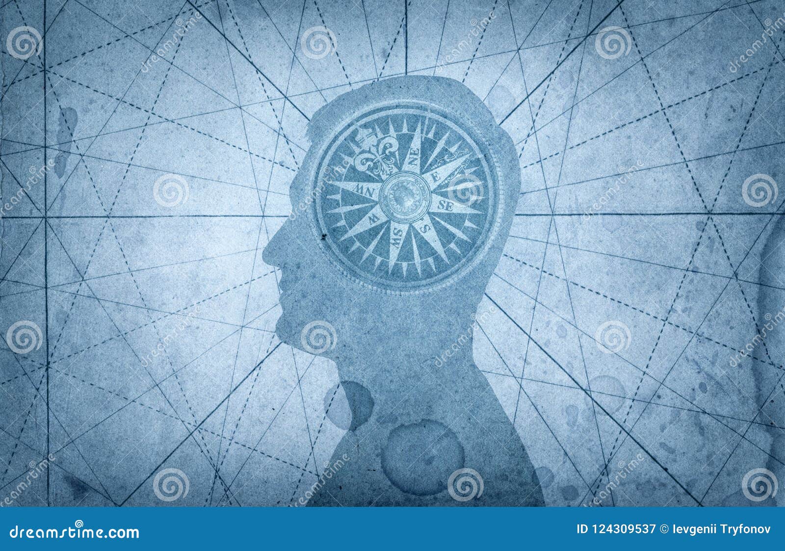 Human Head and Compass. the Concept on the Topic of Navigation, Stock ...