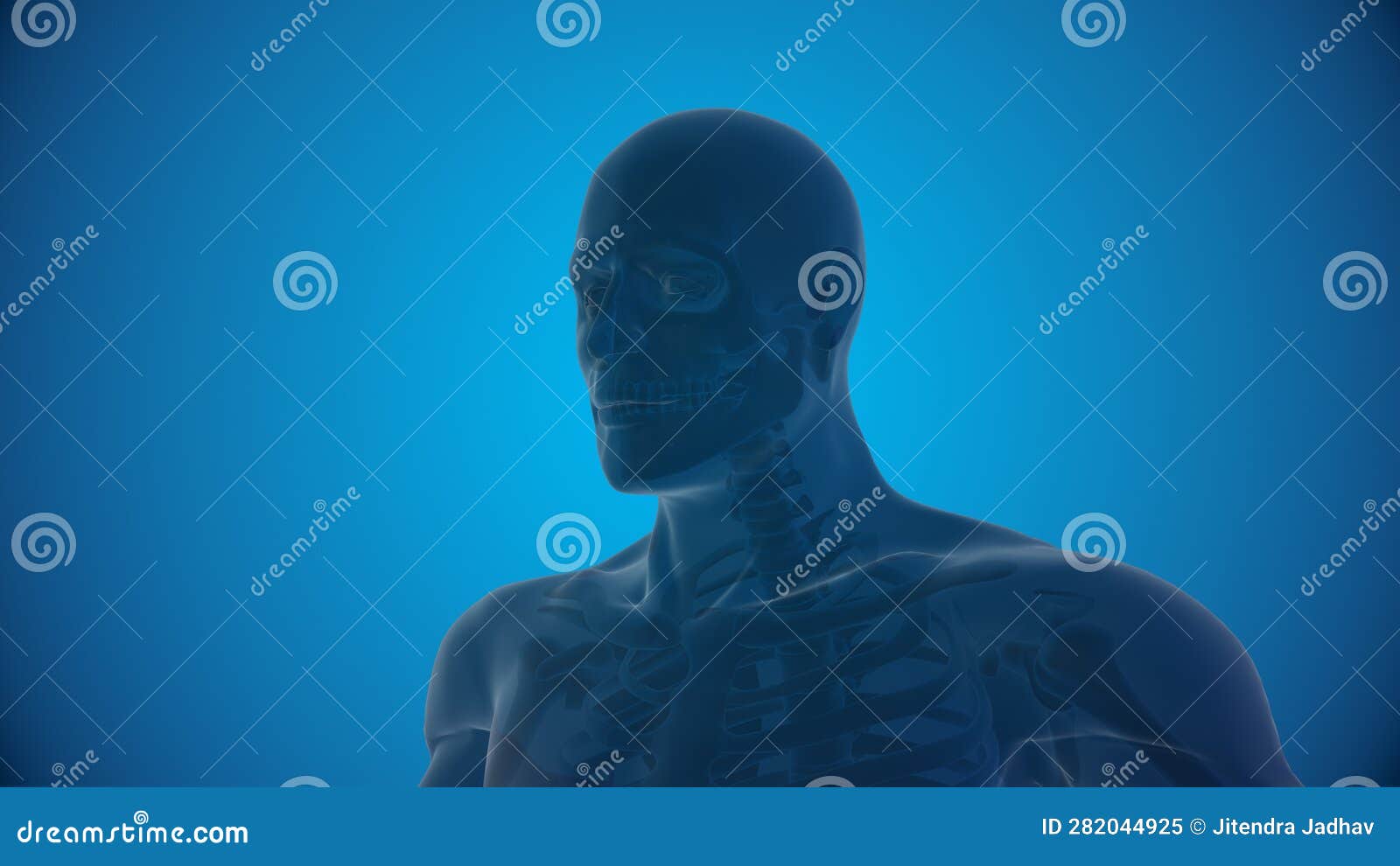 Human Head Anatomy 3d Illustration Stock Illustration - Illustration of ...