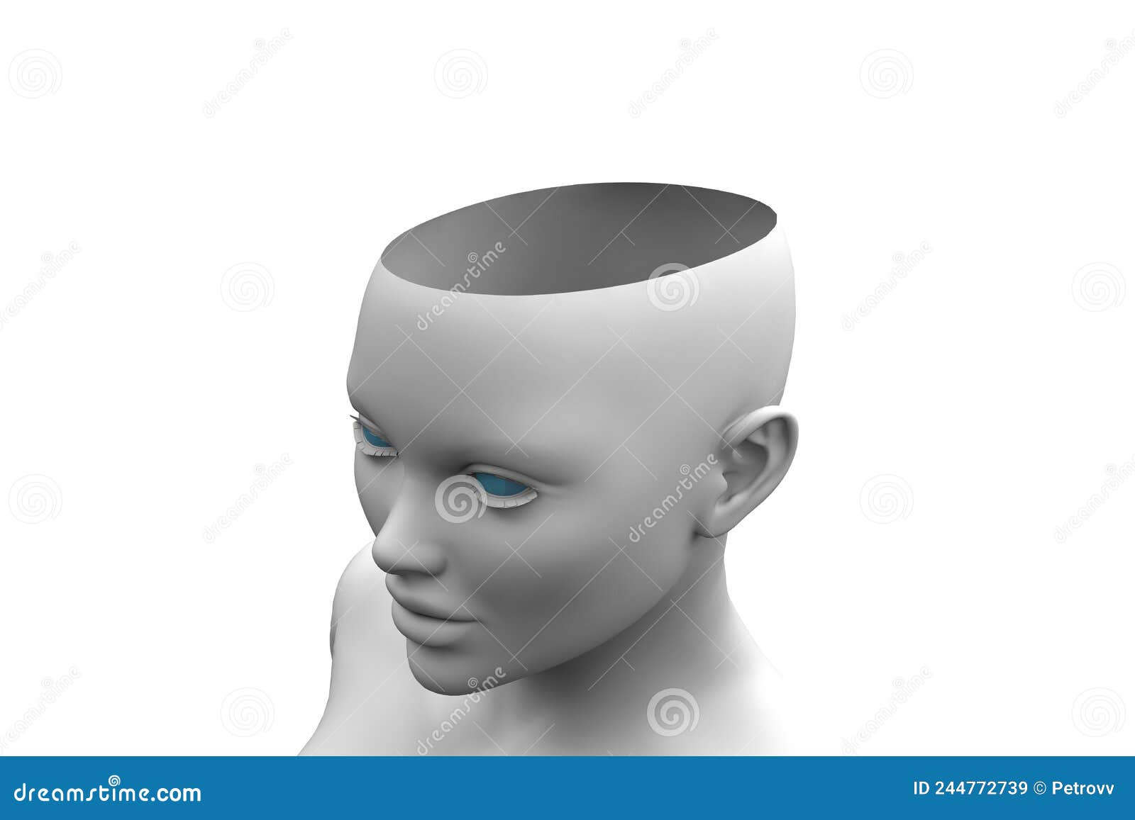 Human Head with Emptiness Inside Stock Illustration - Illustration of ...