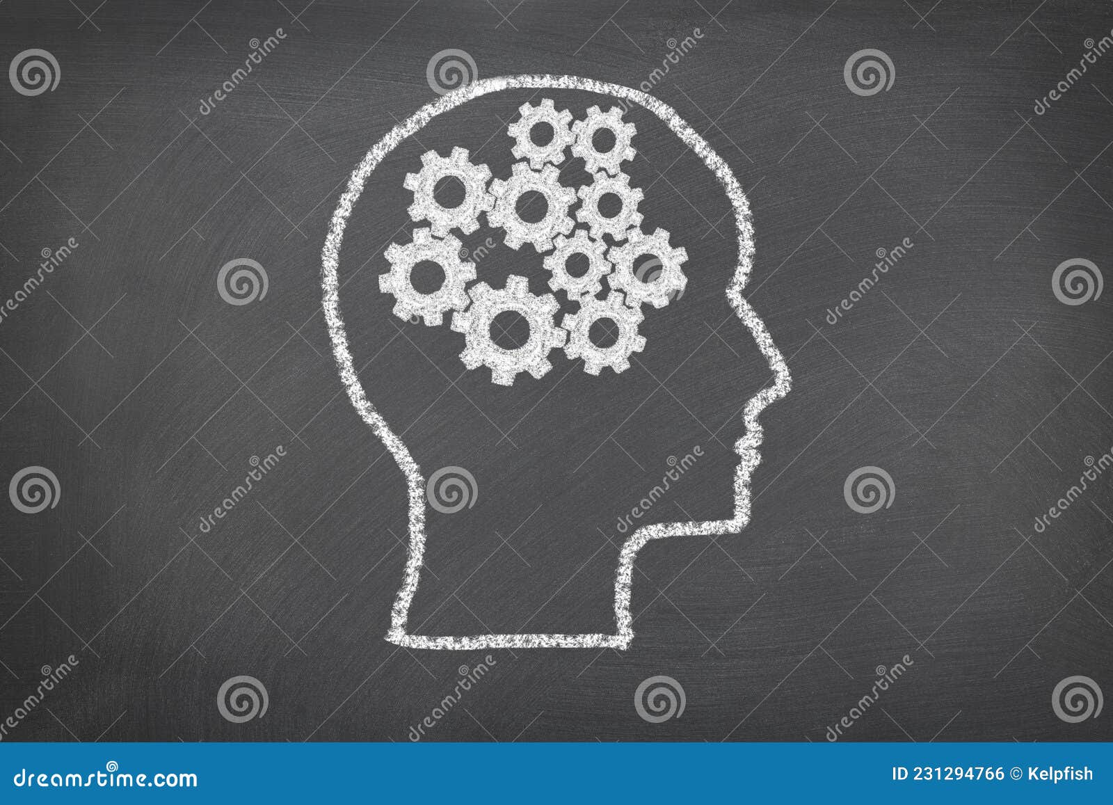Human head and gears stock photo. Image of connect, brainstorm - 231294766